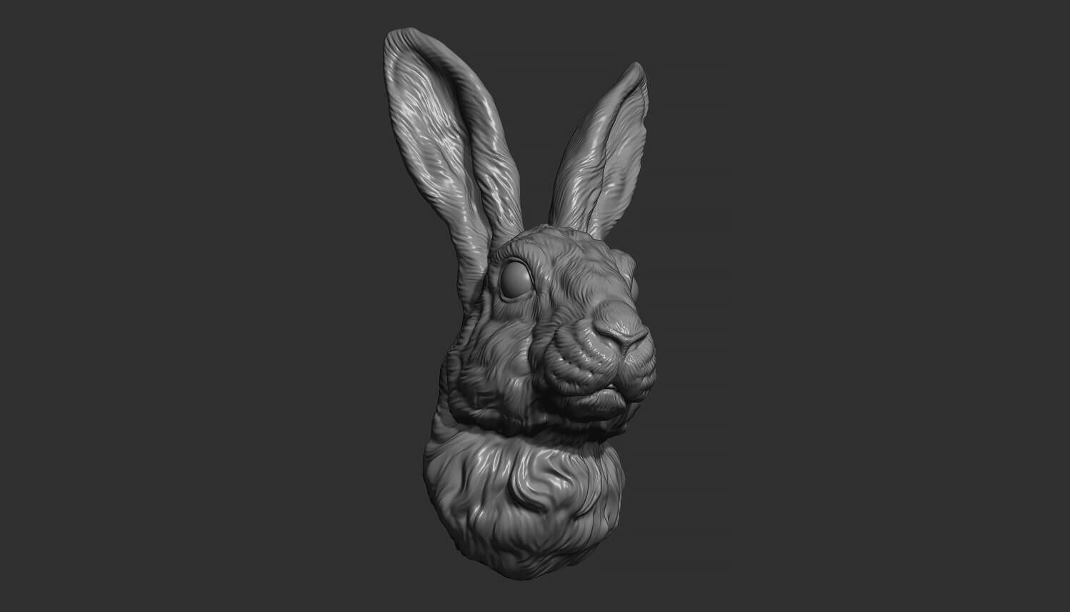 Hare Head - 3D Print Model by guninnik81