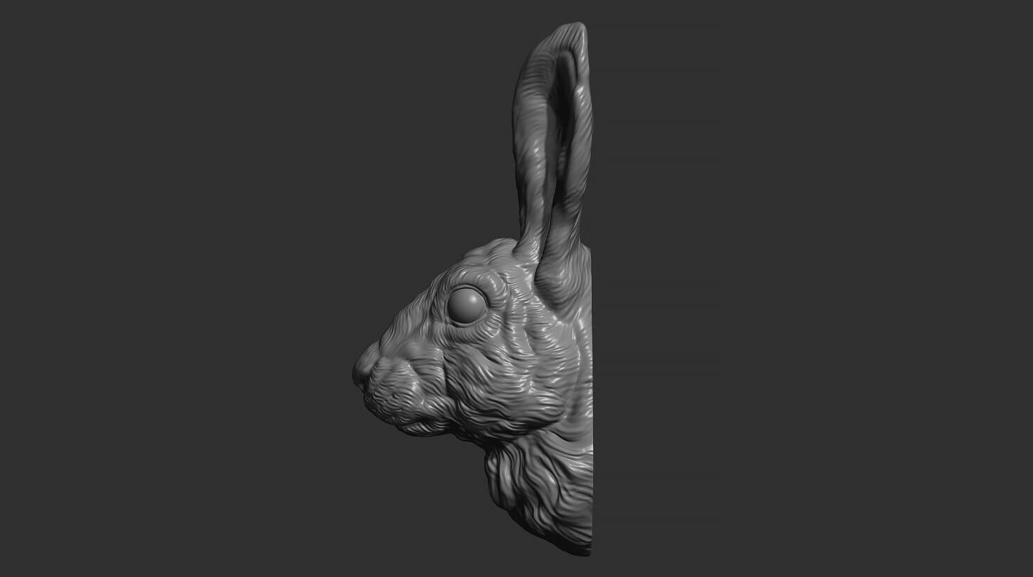 Hare Head - 3D Model by guninnik81