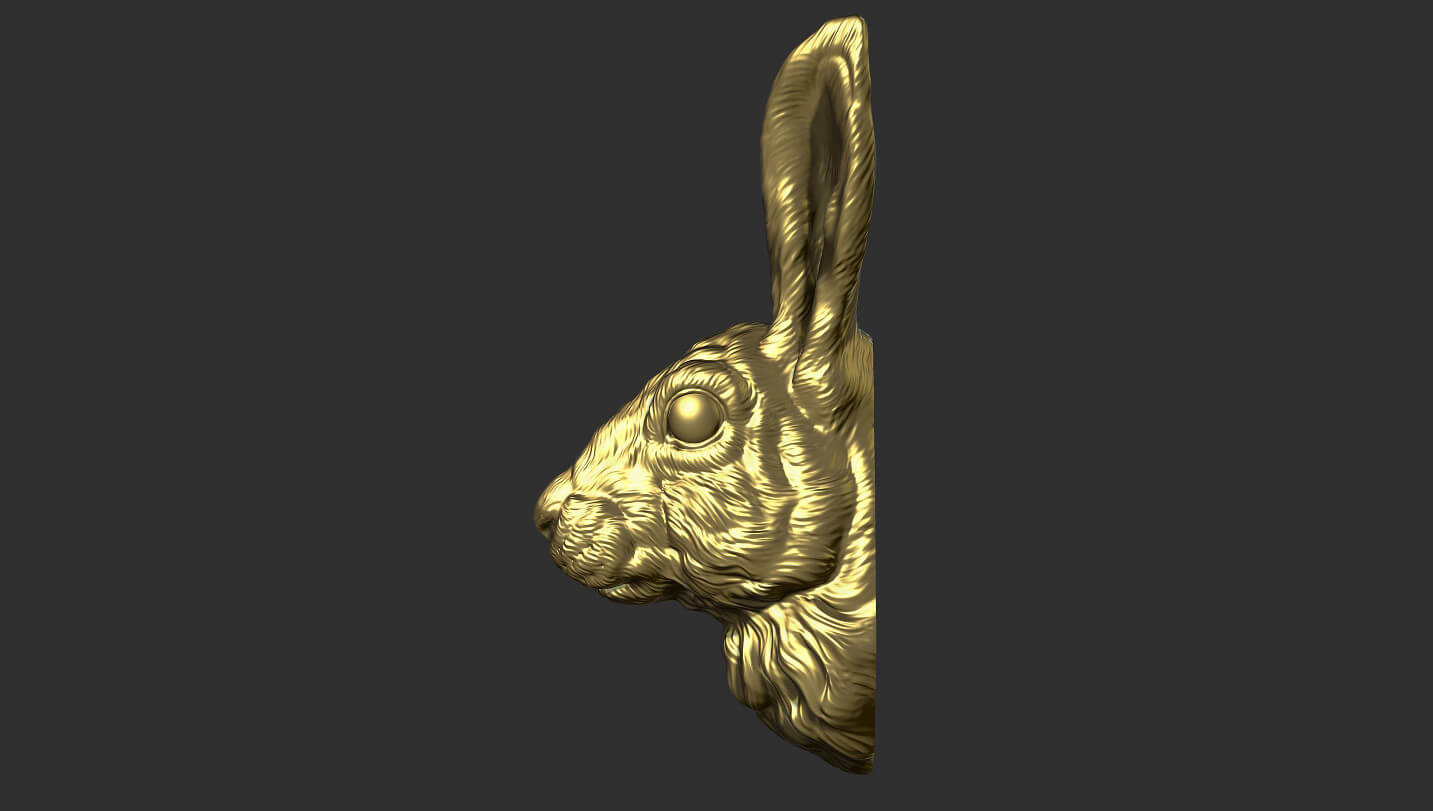 Hare Head - 3D Model by guninnik81