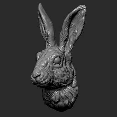 Hare Head - 3D Model by guninnik81