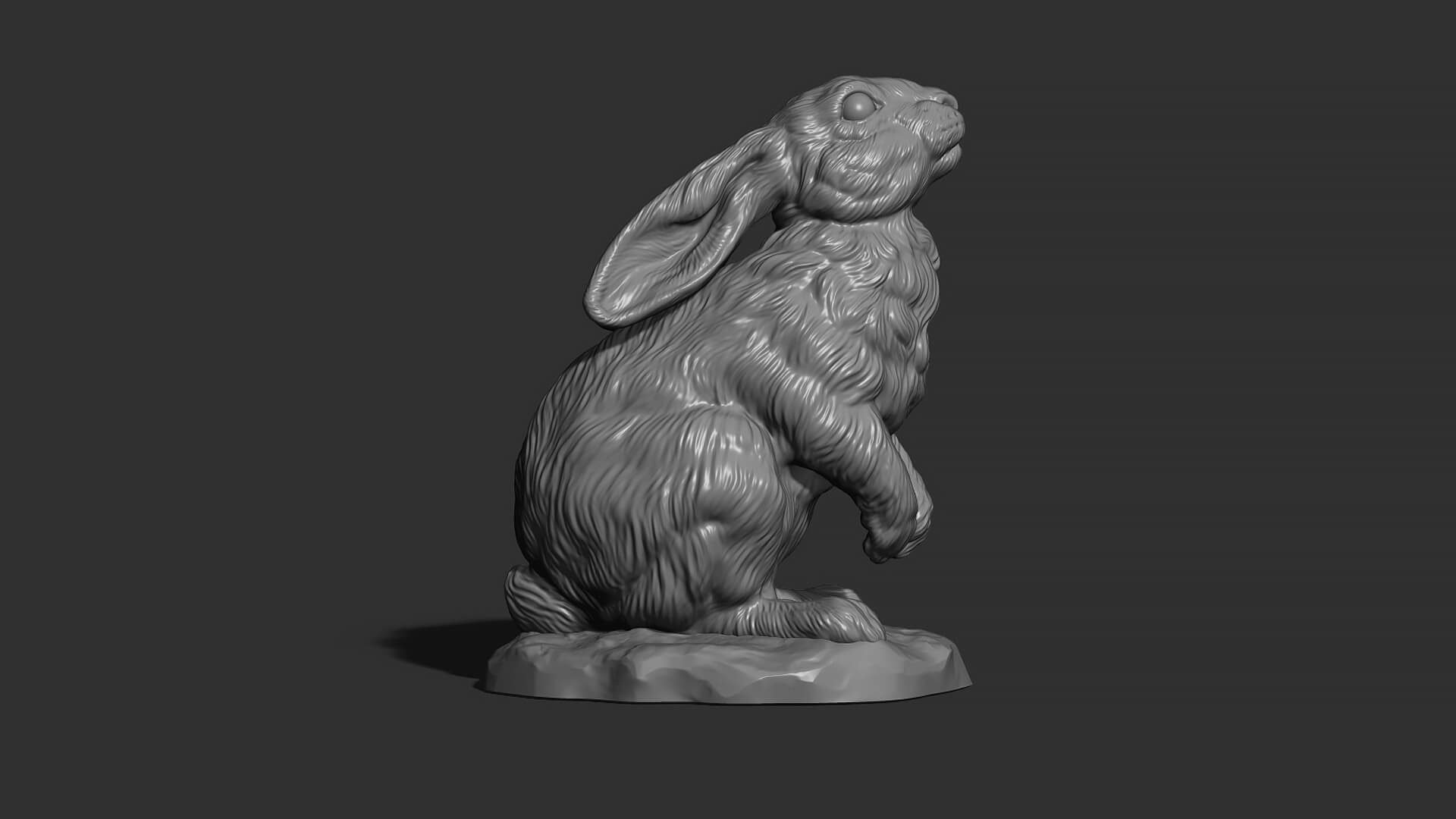Hare Looks Up - 3D Model by guninnik81