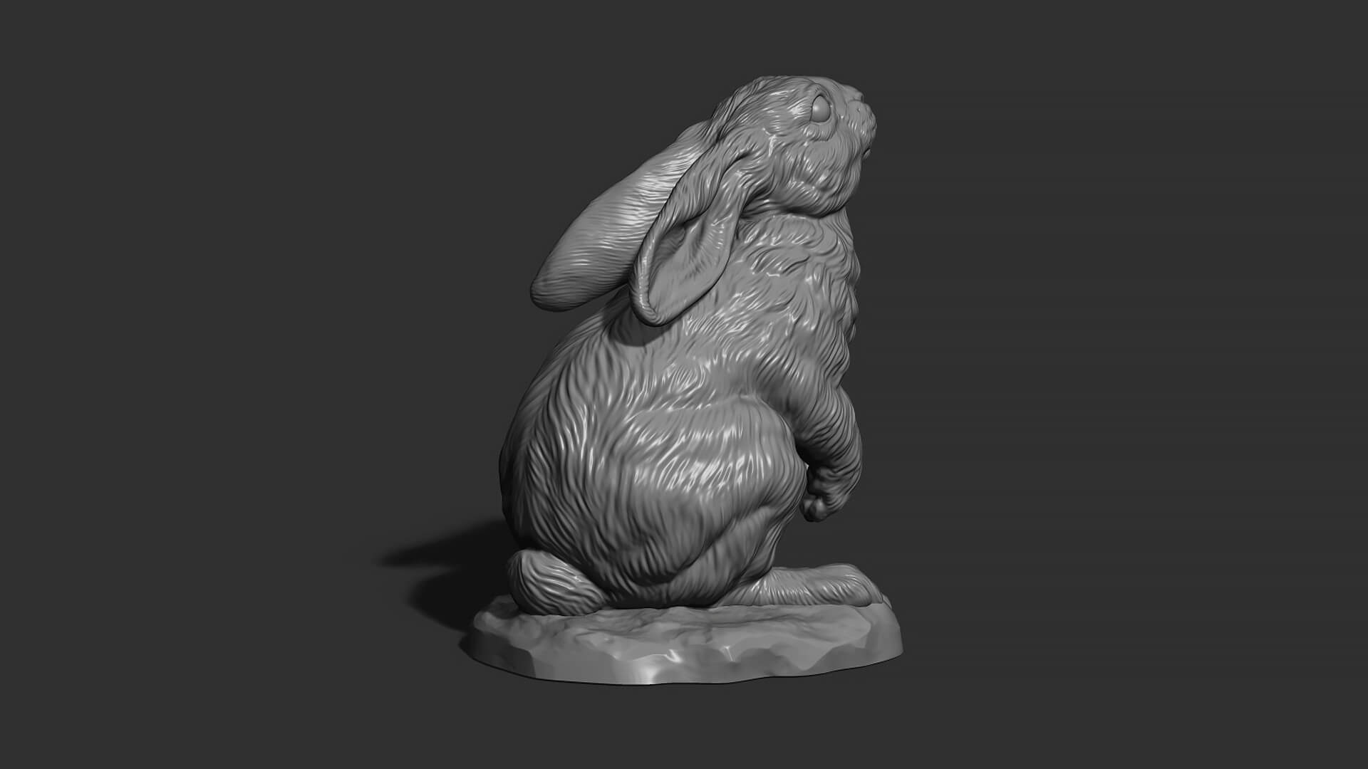 Hare Looks Up - 3D Model by guninnik81