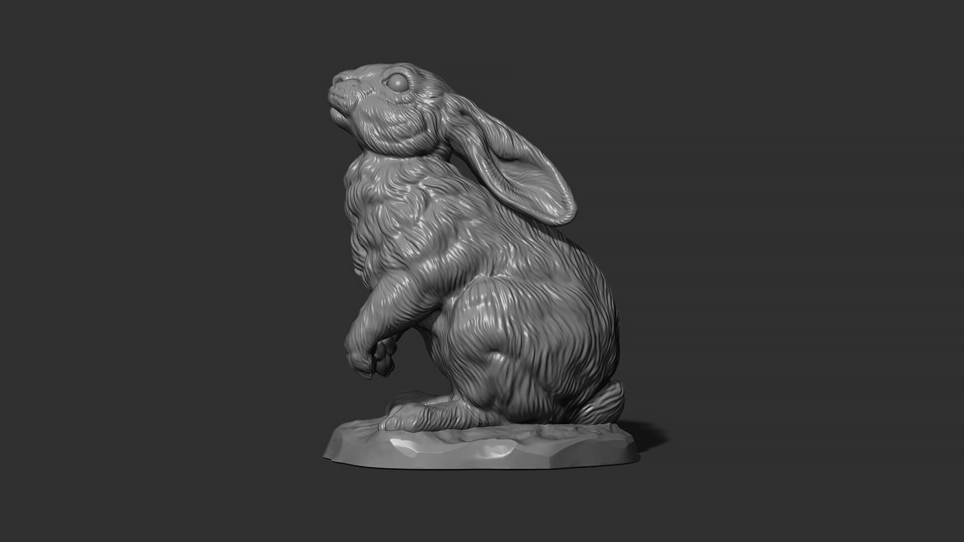 Hare Looks Up - 3D Model by guninnik81