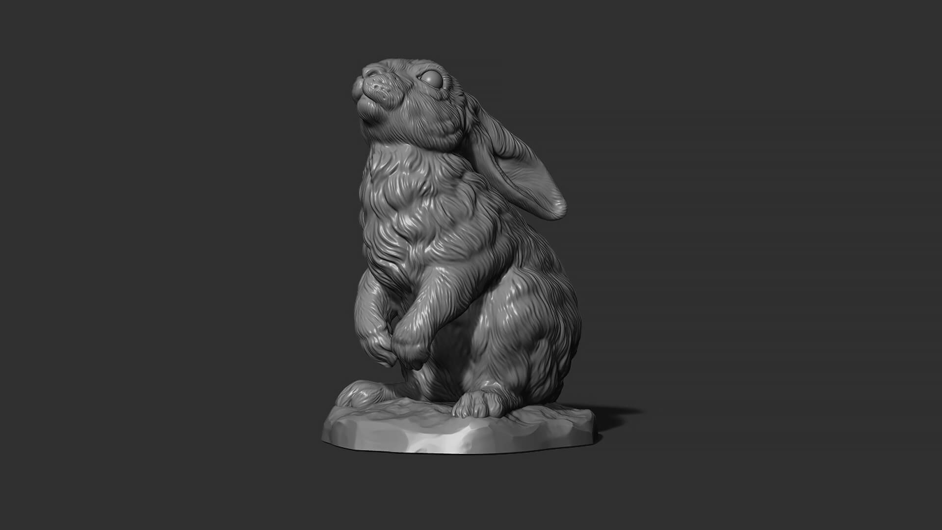 Hare Looks Up - 3D Model by guninnik81