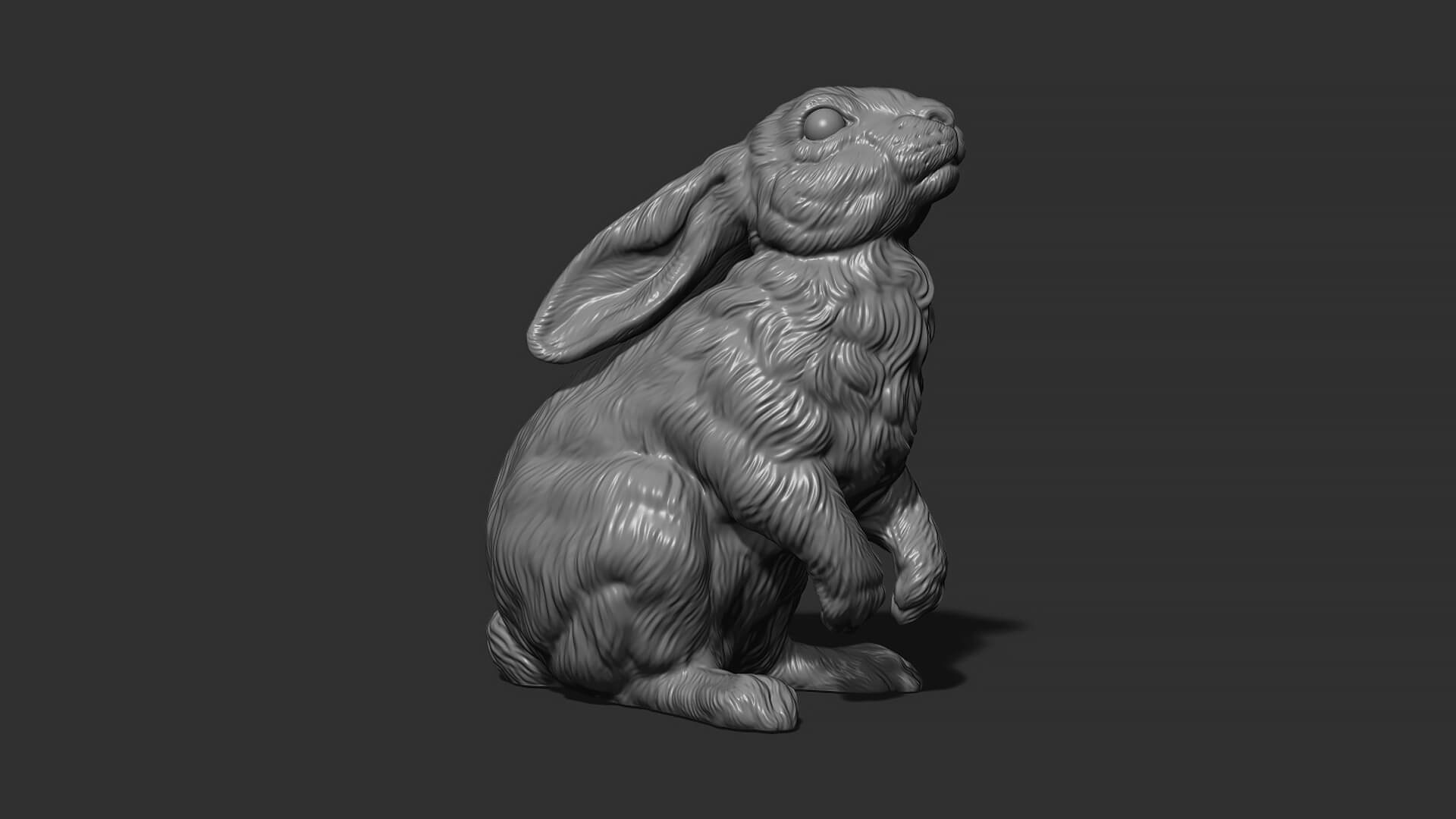 Hare Looks Up - 3D Model by guninnik81