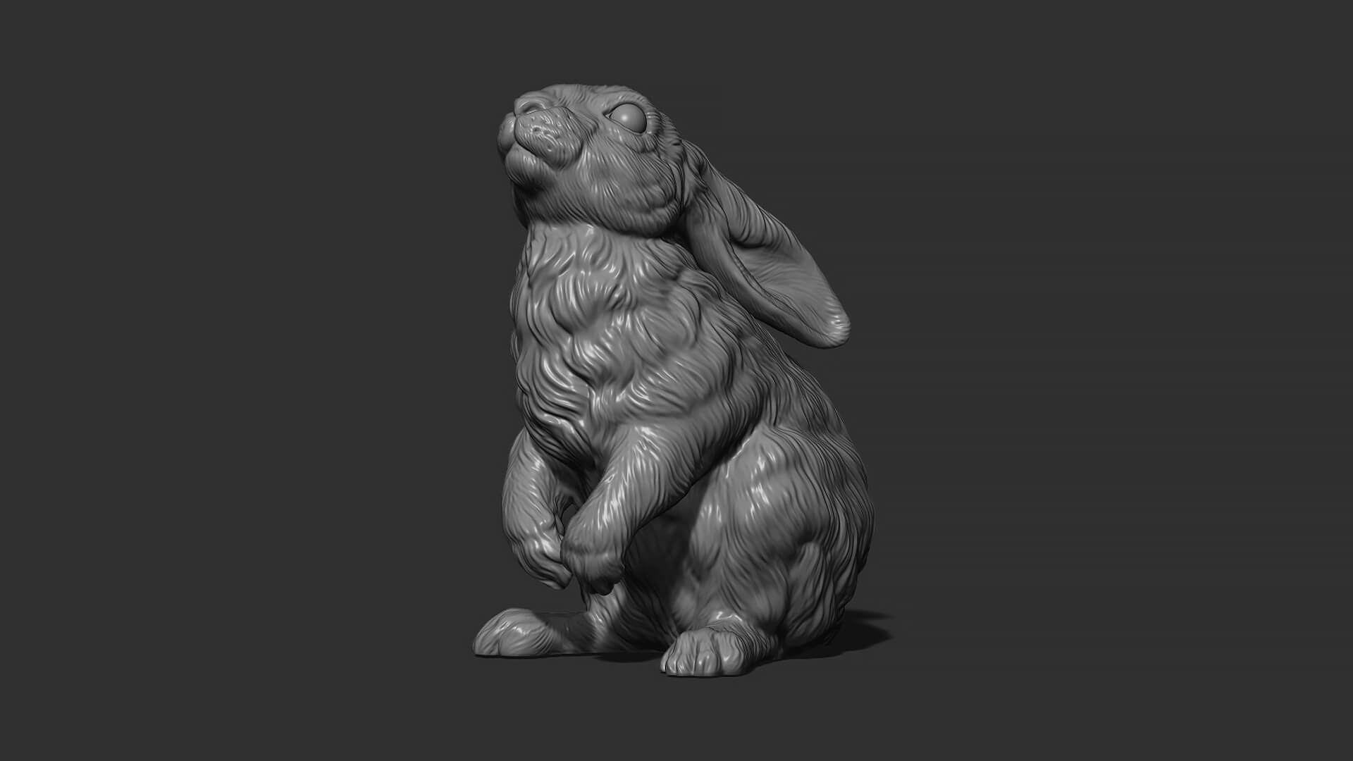 Hare Looks Up - 3D Model by guninnik81