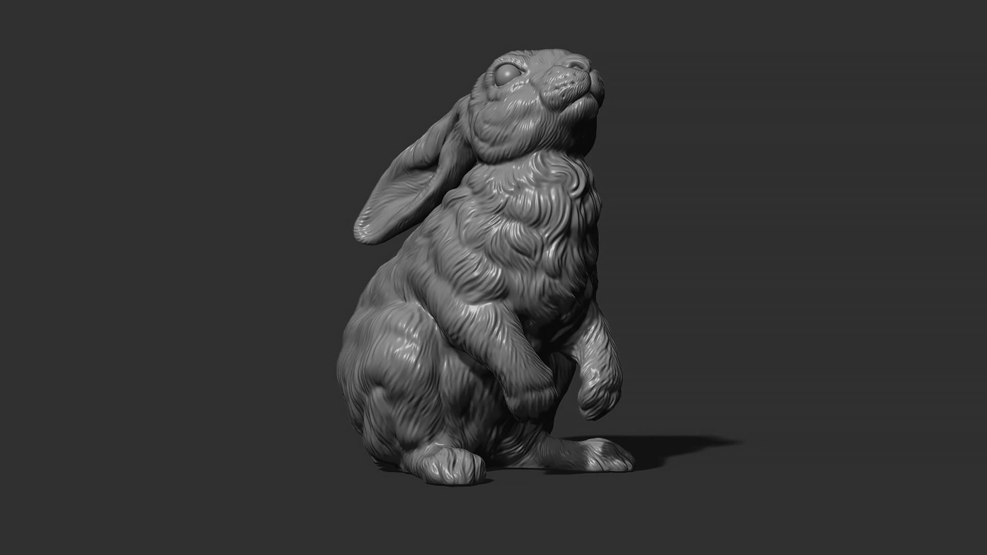 Hare Looks Up - 3D Model by guninnik81