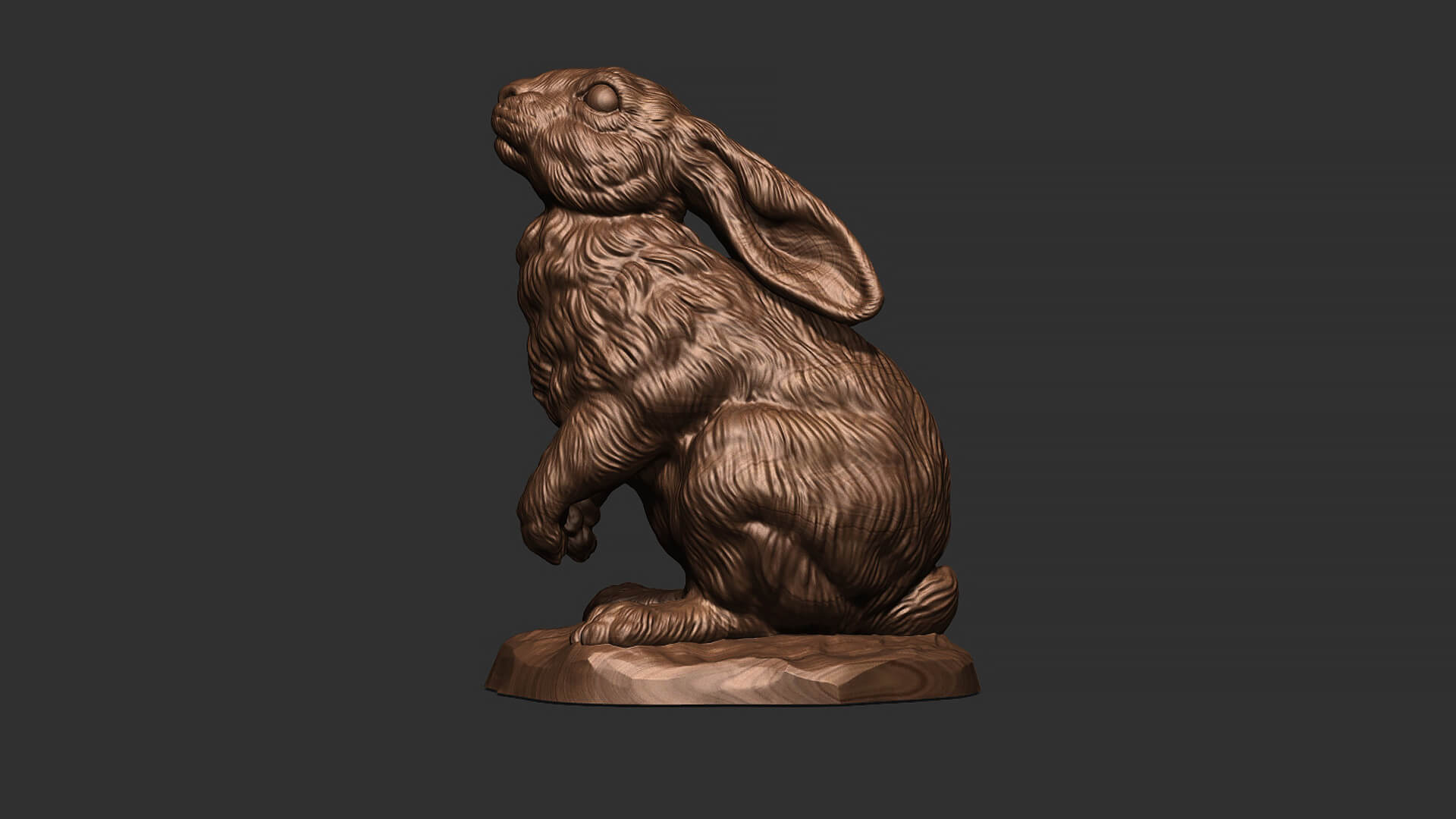 Hare Looks Up - 3D Model by guninnik81