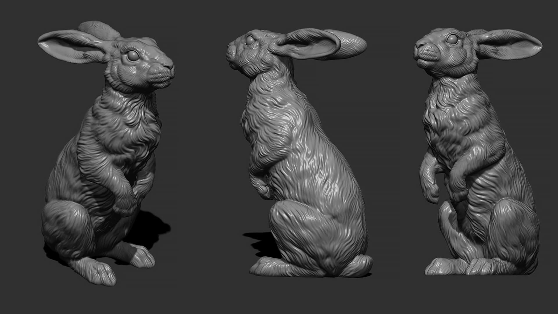Hare Sitting - 3D Model by guninnik81