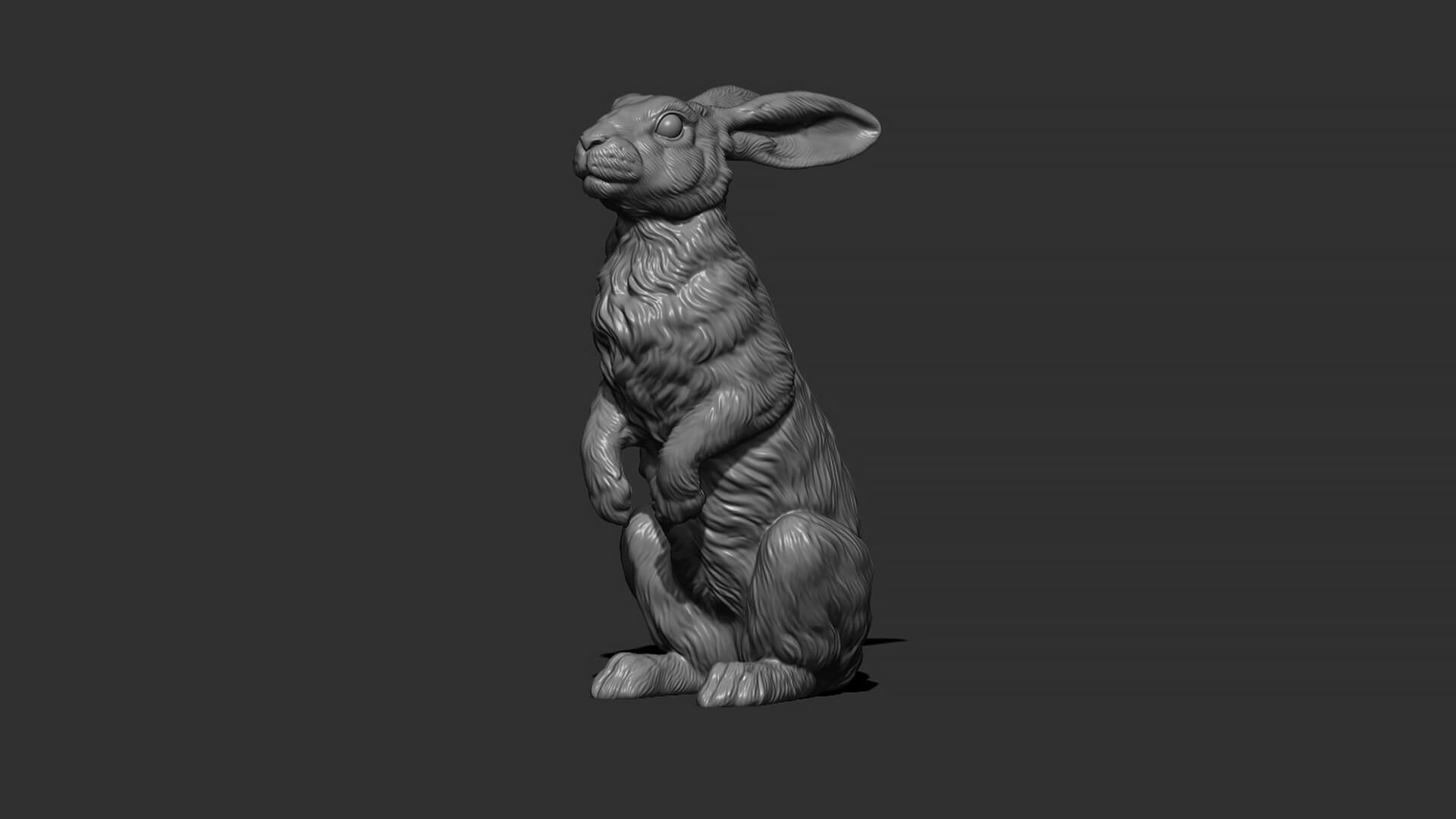 Hare Sitting - 3D Model by guninnik81