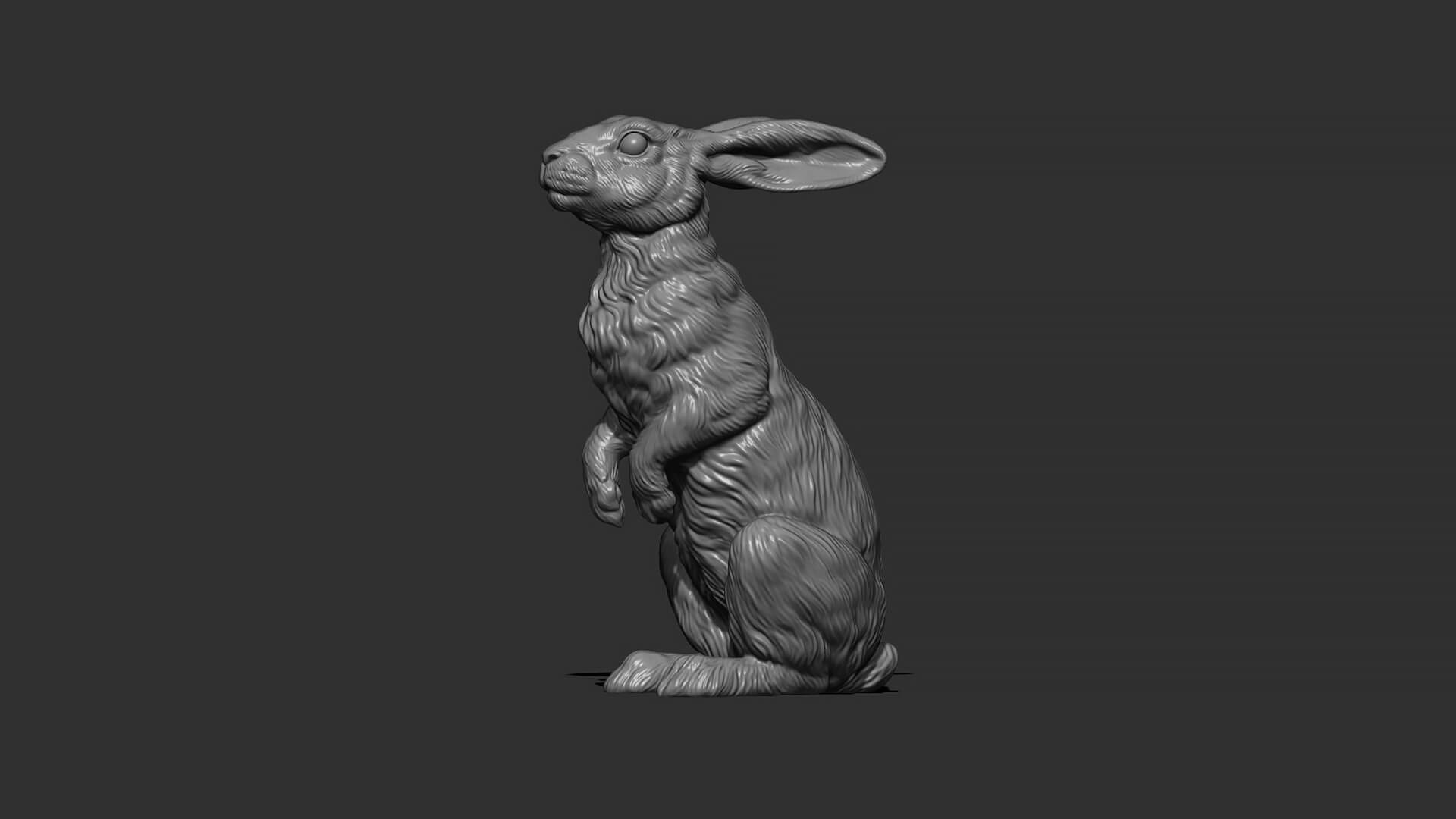 Hare Sitting - 3D Model by guninnik81