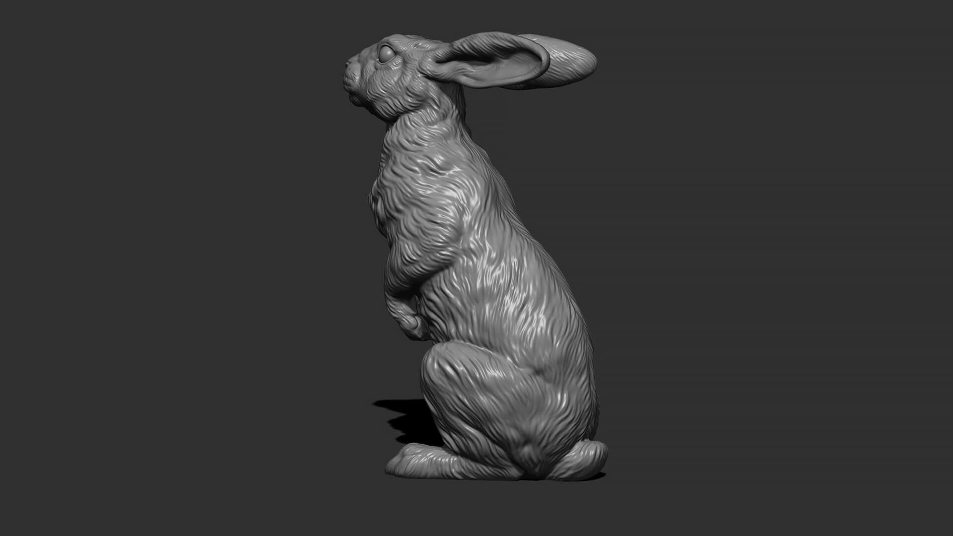 Hare Sitting - 3D Model by guninnik81