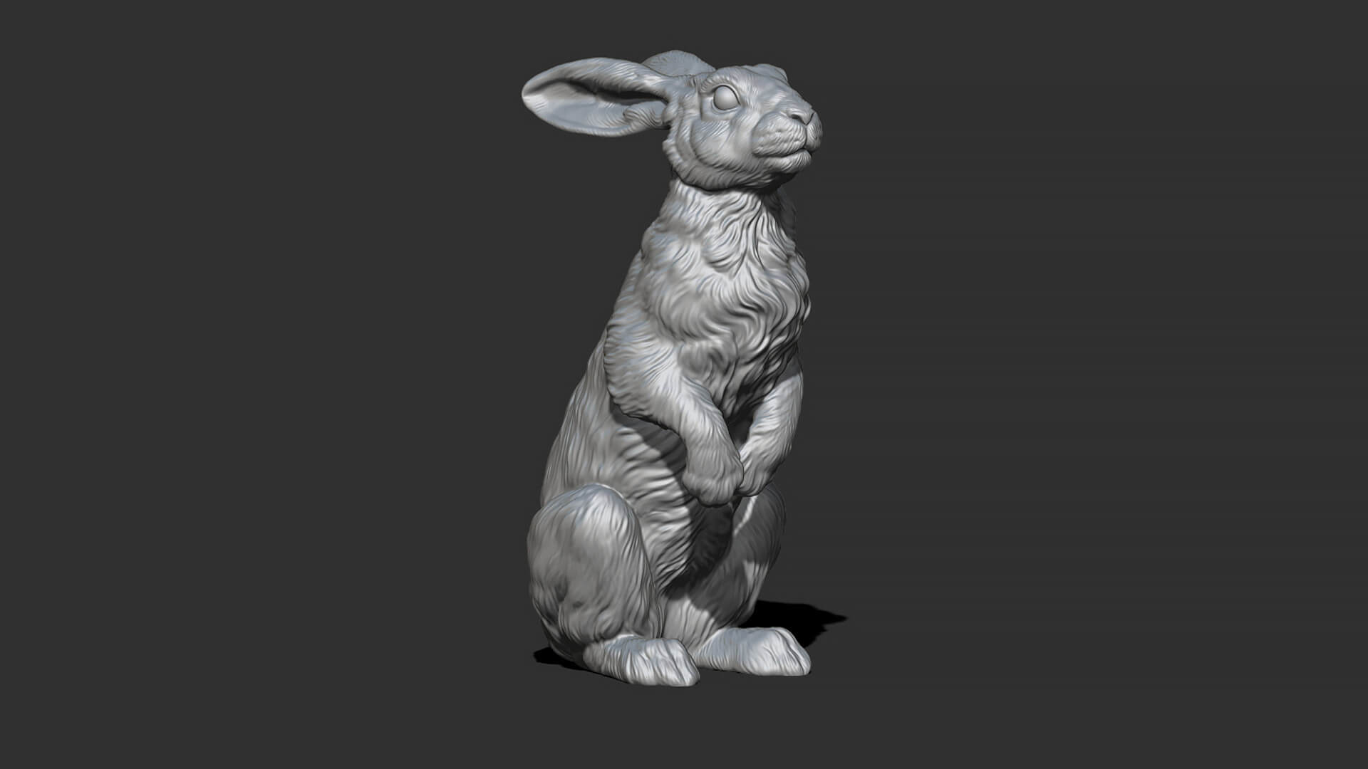 Hare Sitting - 3D Model by guninnik81