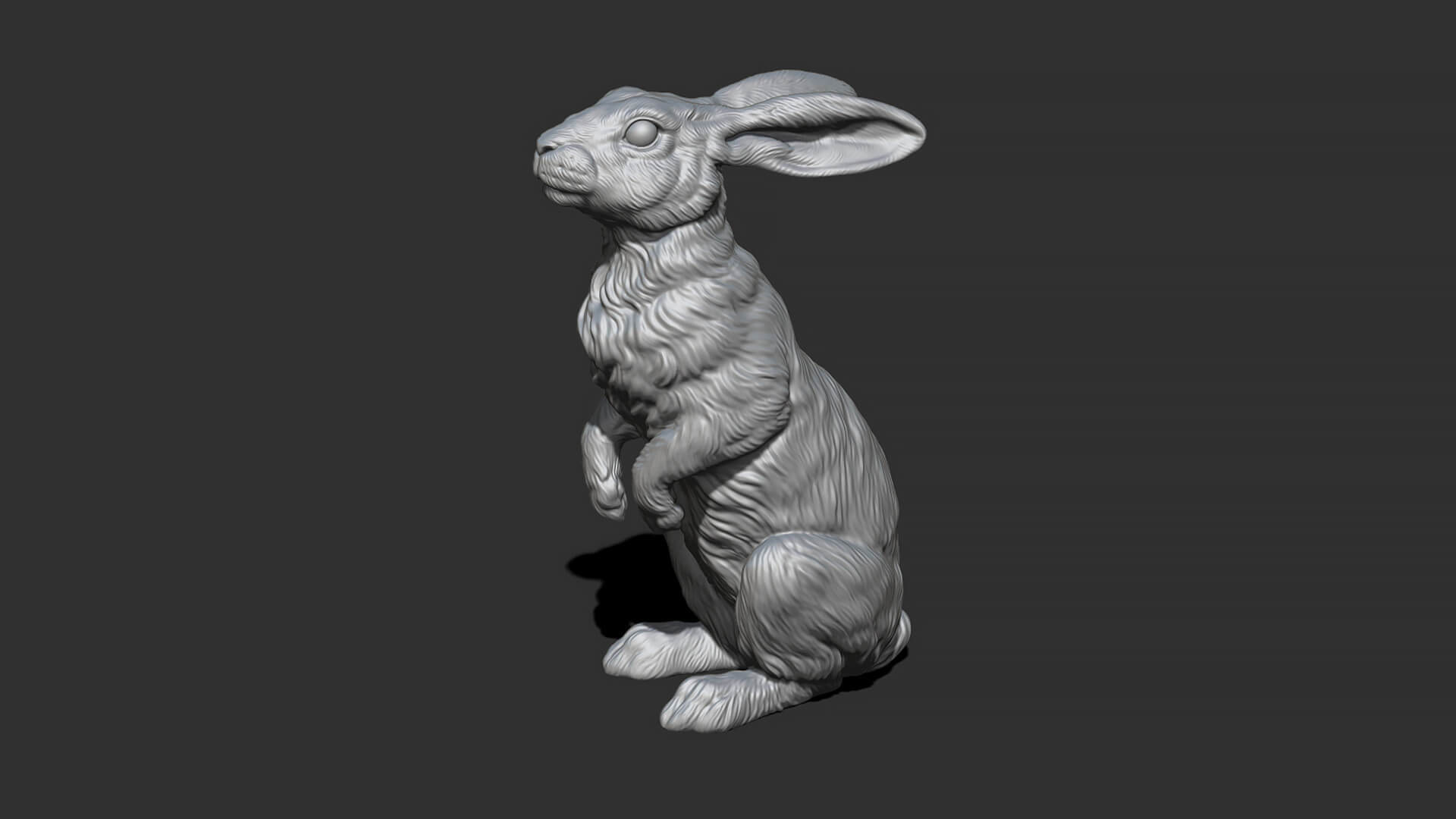 Hare Sitting - 3D Model by guninnik81