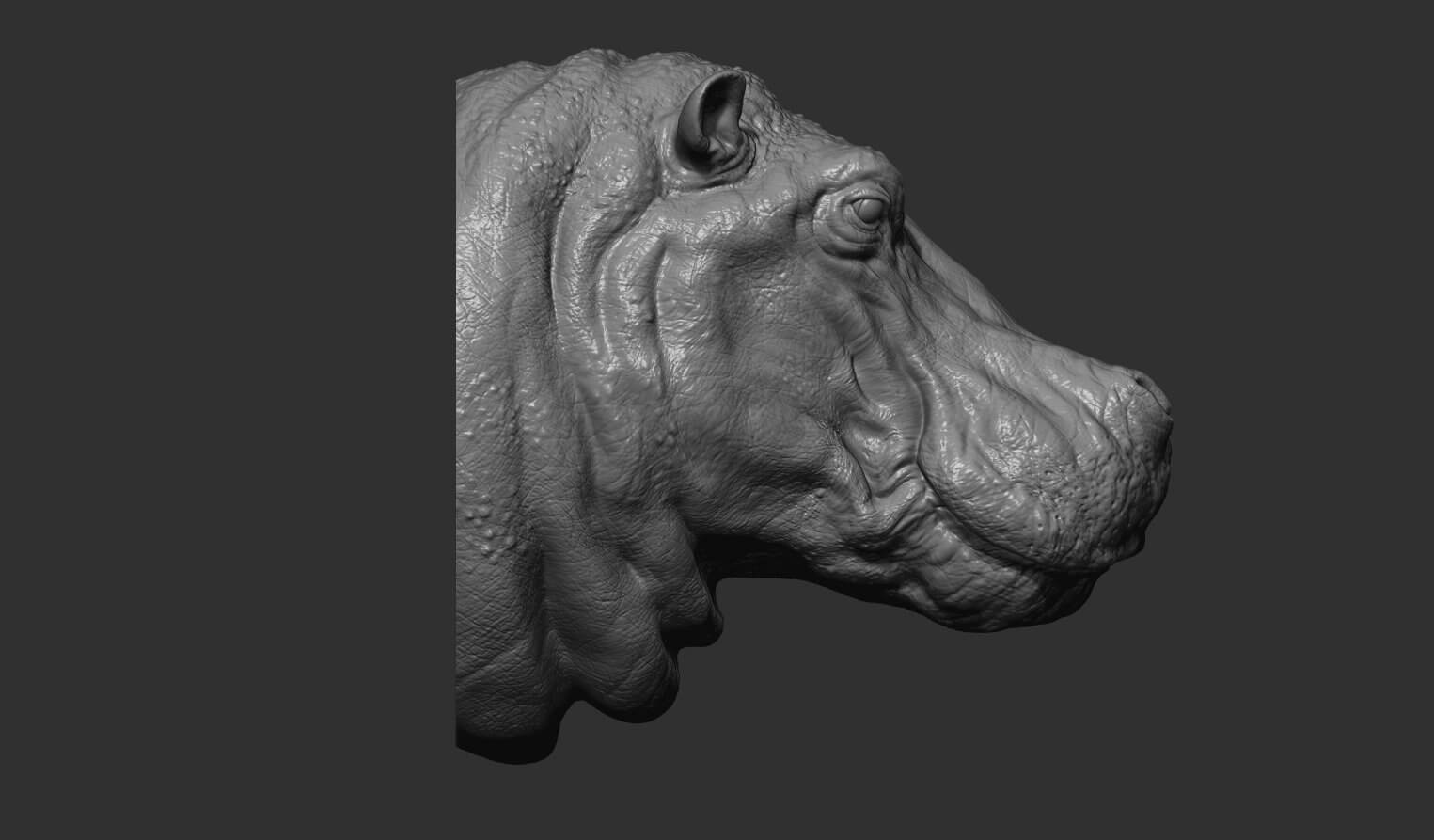 Hippopotamus Head with Background - 3D Model by guninnik81