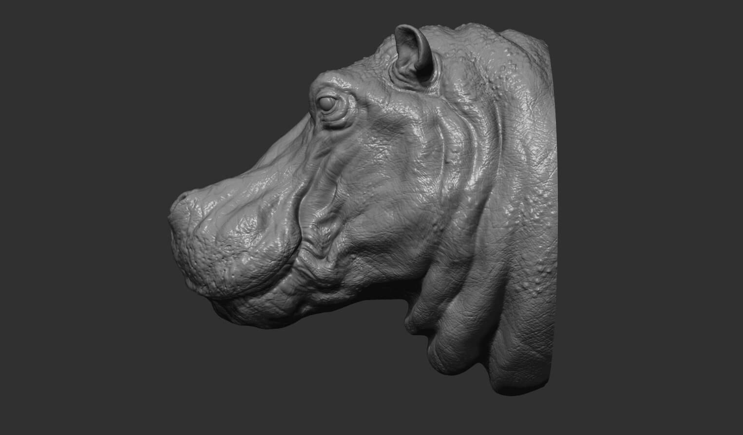 Hippopotamus Head with Background - 3D Model by guninnik81