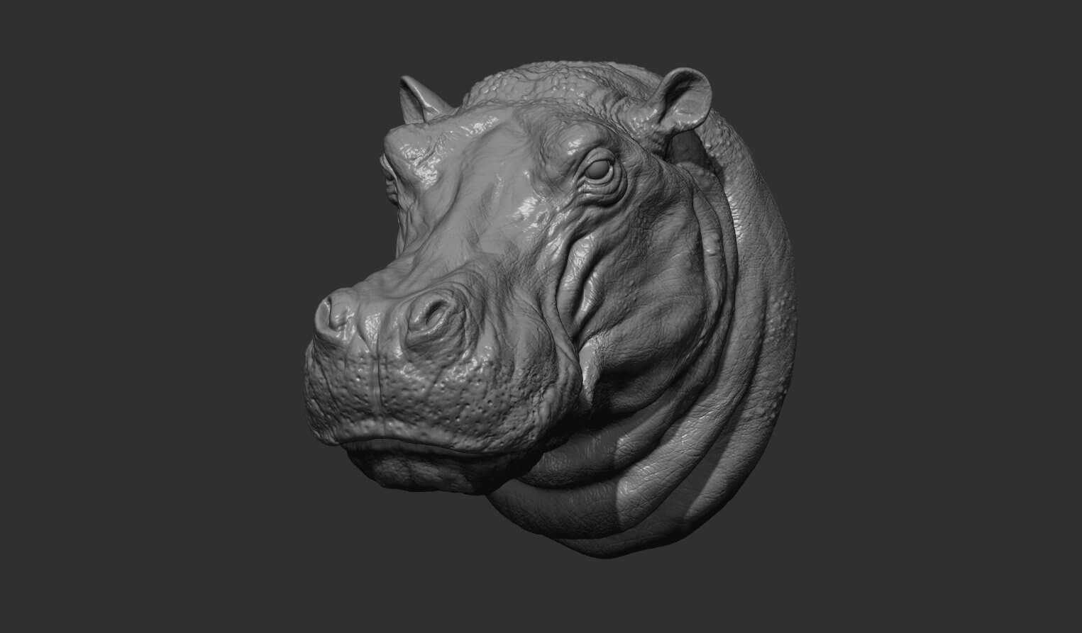 Hippopotamus Head with Background - 3D Model by guninnik81