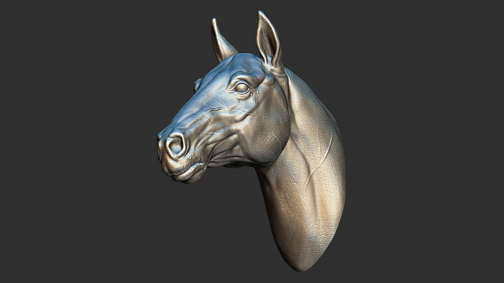 Horse Head - 3D Model by guninnik81