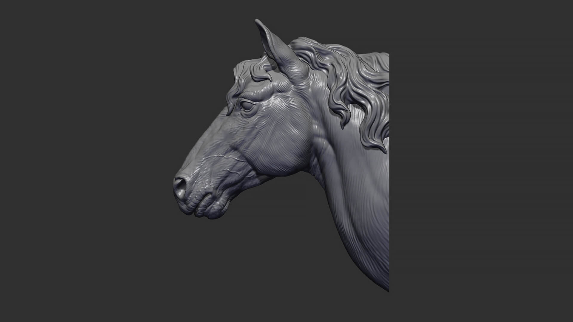 Horse With a Mane - 3D Model by guninnik81