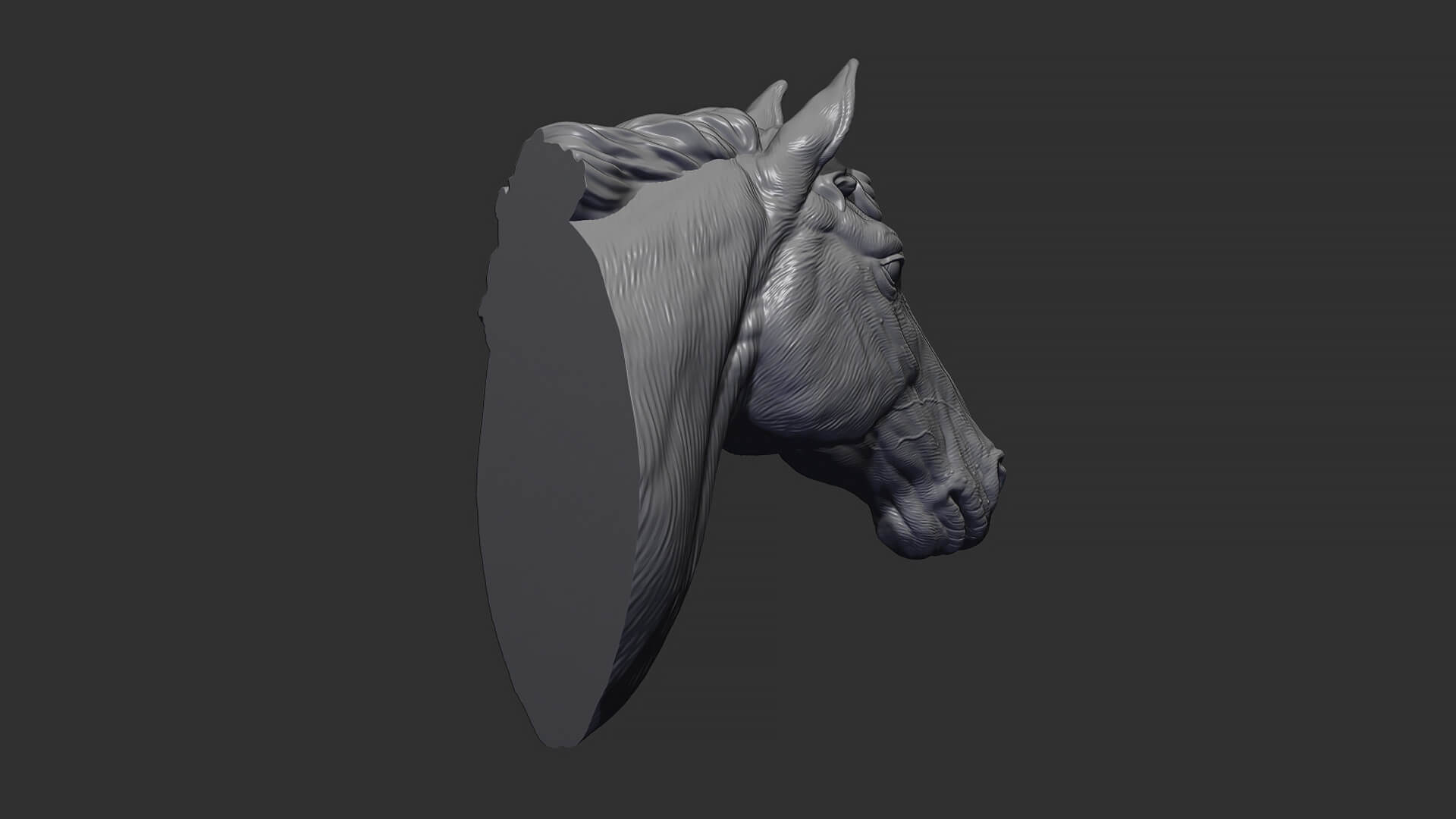 Horse With a Mane - 3D Model by guninnik81