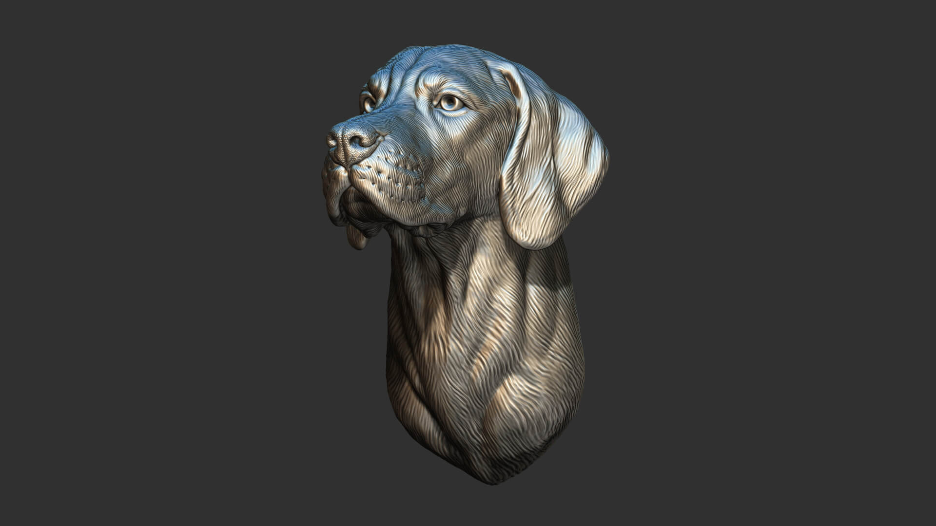 Hungarian Vizsla Dog - 3D Model by guninnik81
