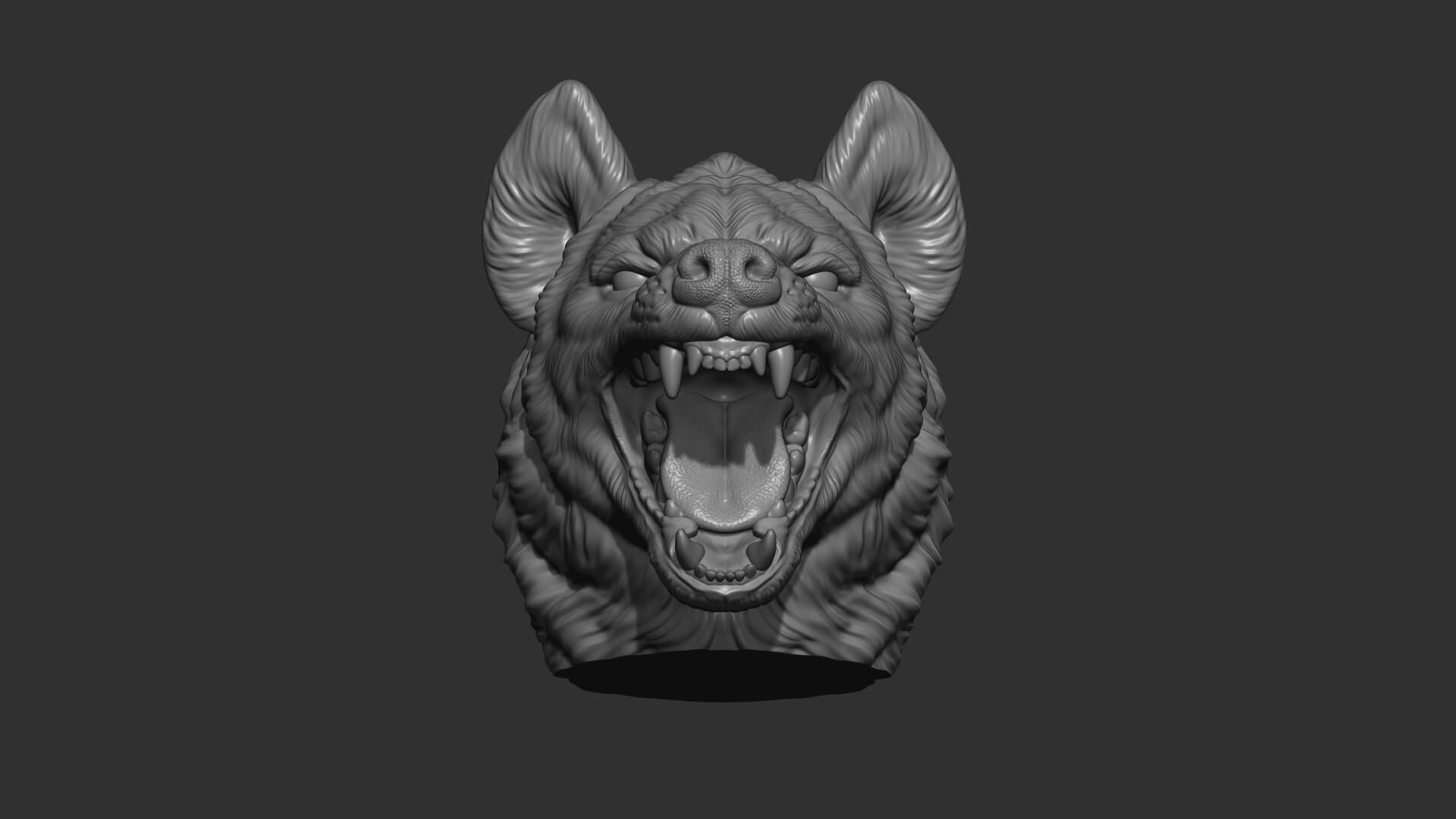 Hyena Grin Head - 3D Model by guninnik81