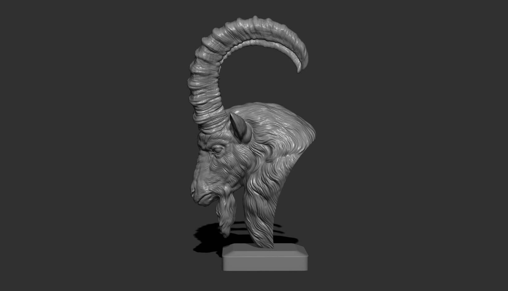 Ibex Goat Head - 3D Print Model by guninnik81