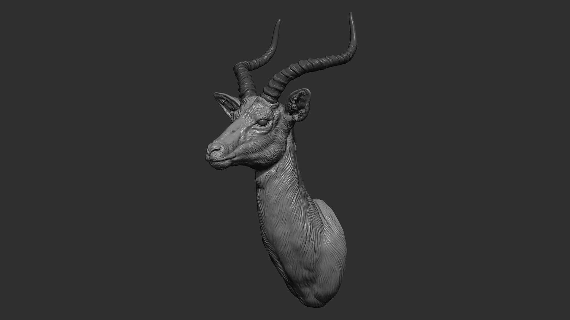 Impala Antelope Bust - 3D Model by guninnik81