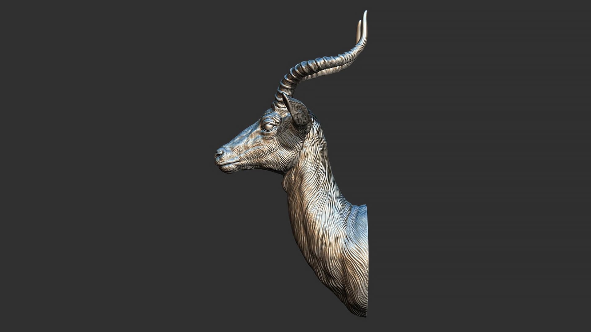 Impala Antelope Bust - 3D Model by guninnik81