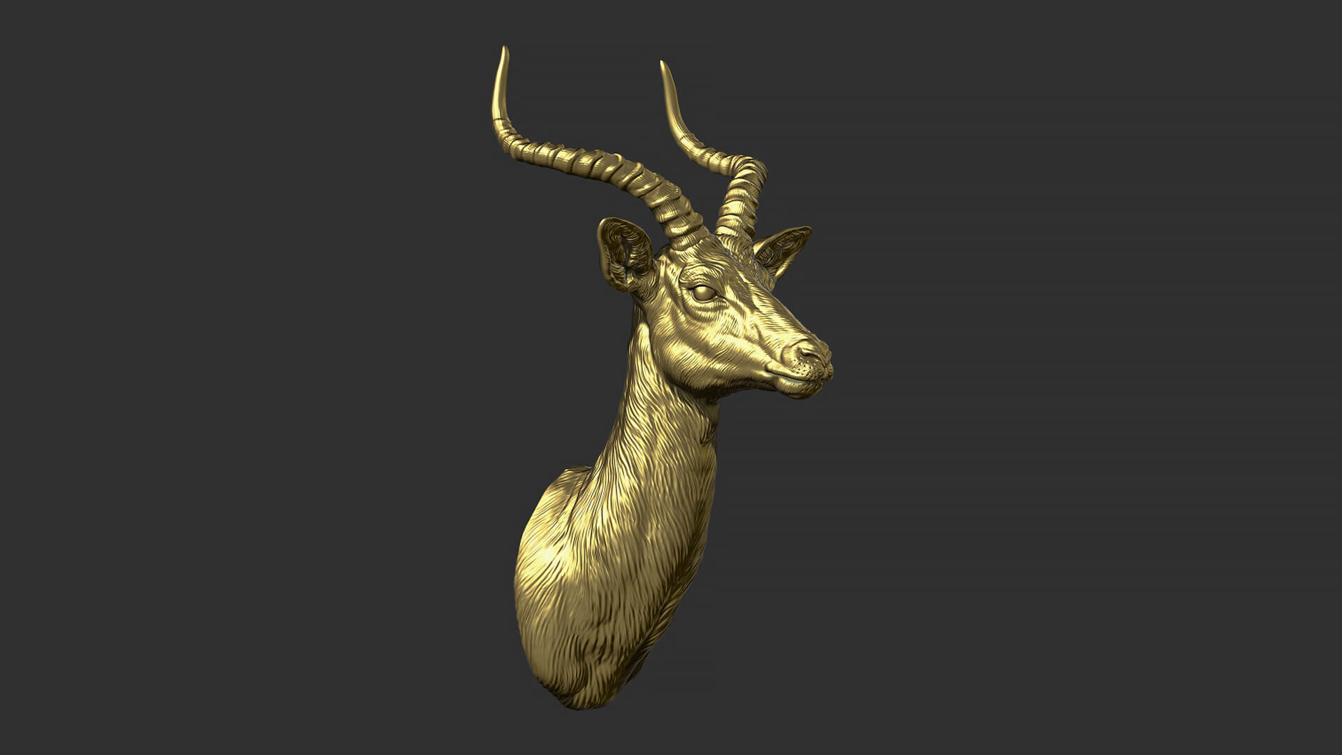 Impala Antelope Bust - 3D Model by guninnik81