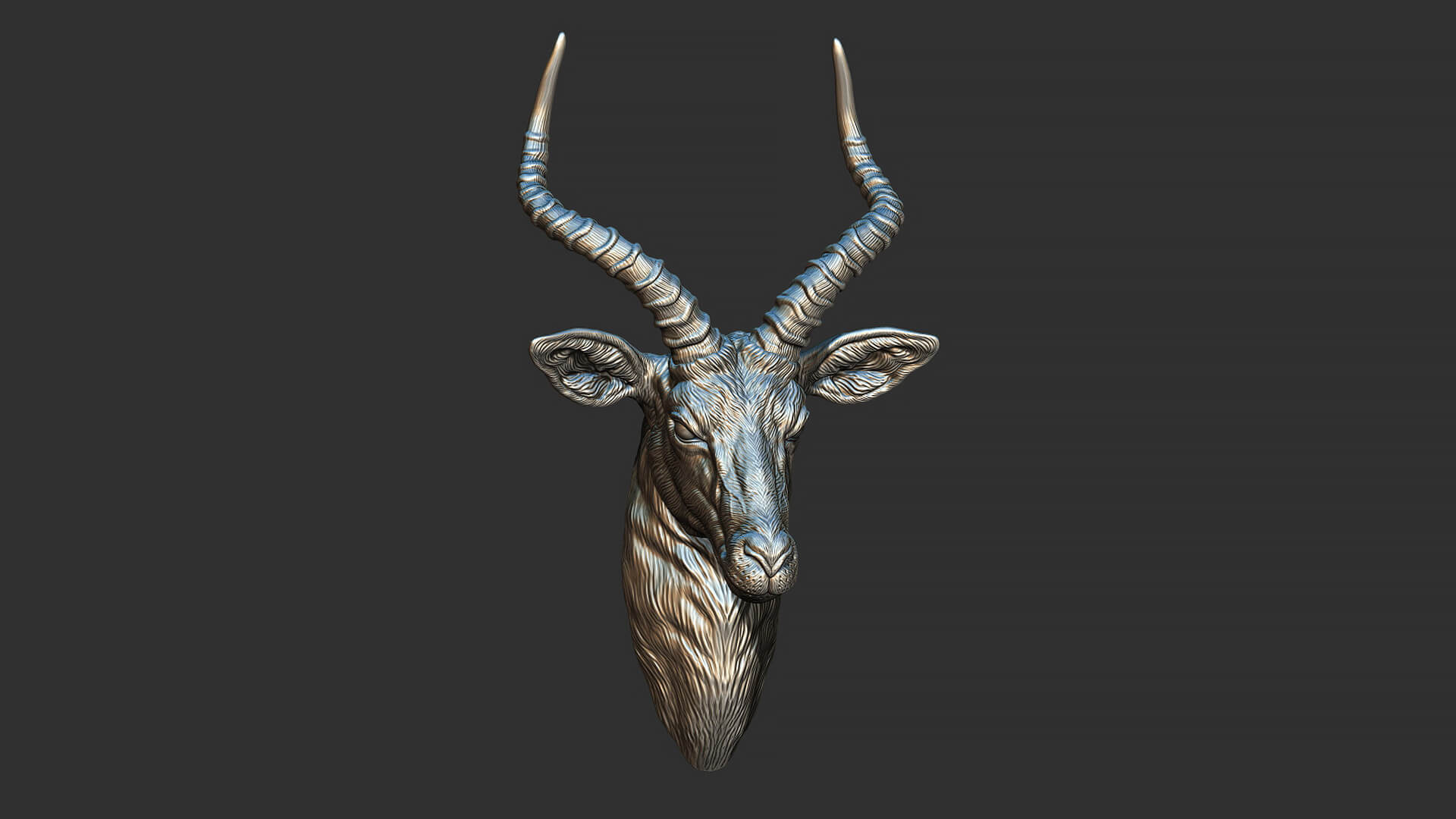 African Impala Head