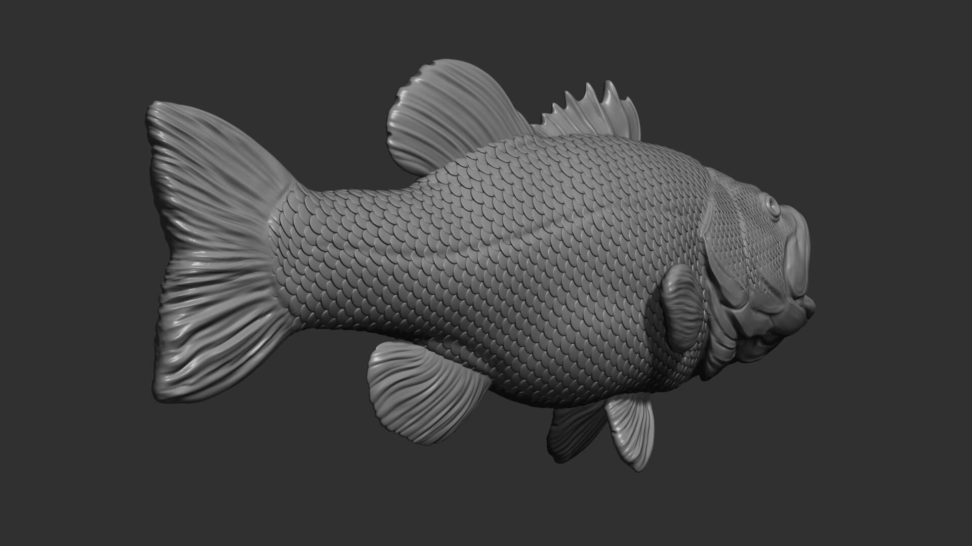 Largemouth Bass - 3D Model by guninnik81