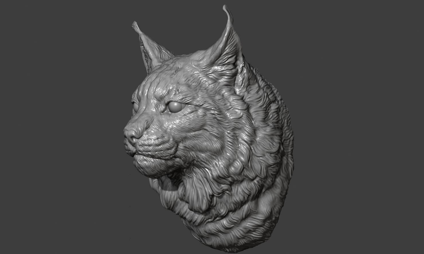 Lynx Head - 3D Model by guninnik81
