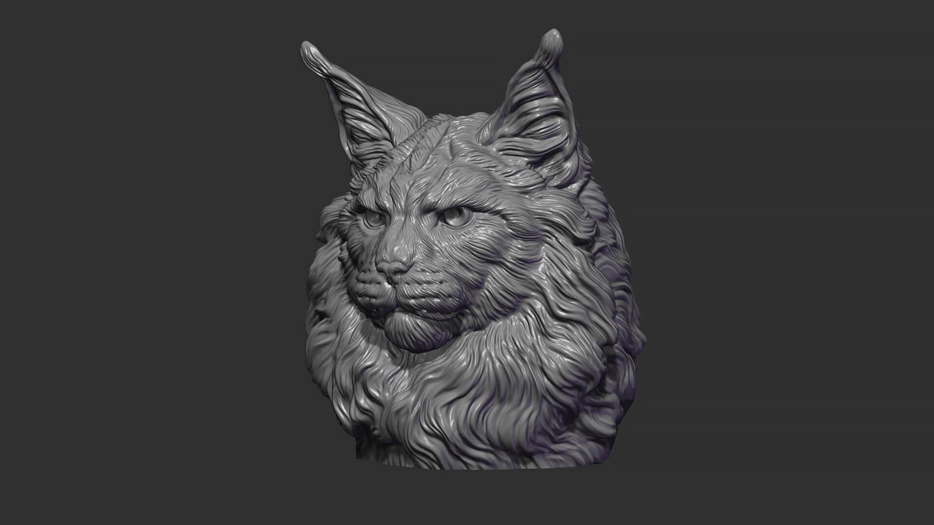 Maine Coon Head - 3D Model by guninnik81