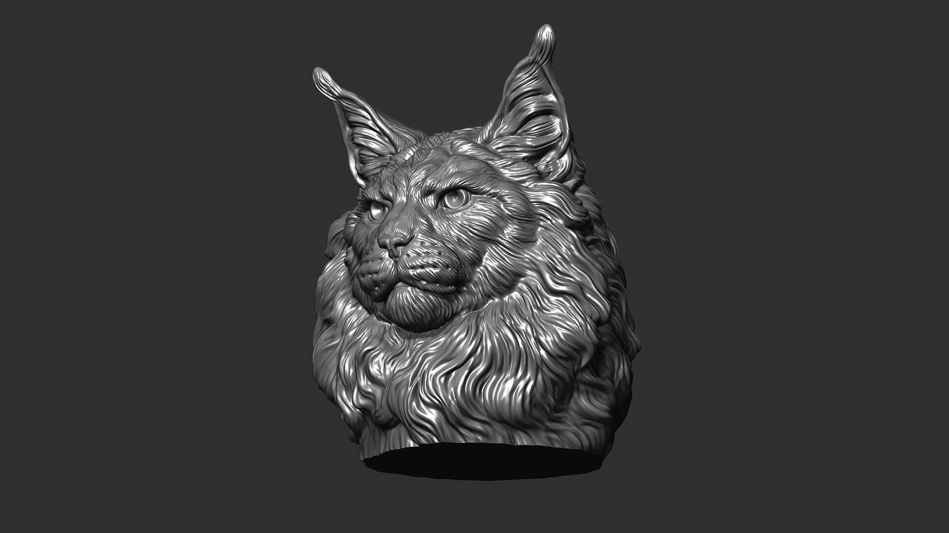 Maine Coon Head - 3D Model by guninnik81