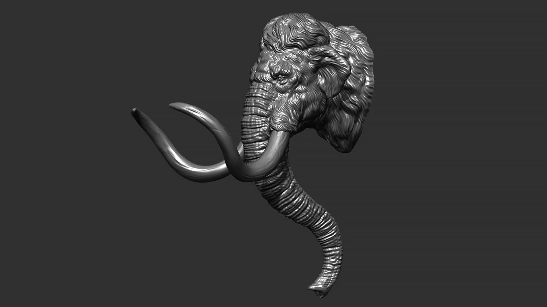 Mammoth Head - 3D Print Model by guninnik81