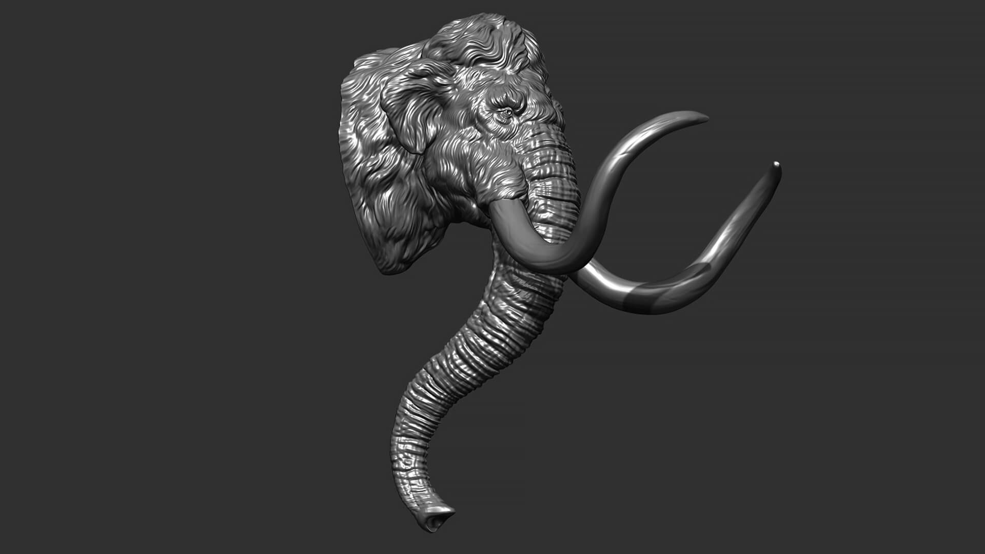 Mammoth Head - 3D Print Model by guninnik81