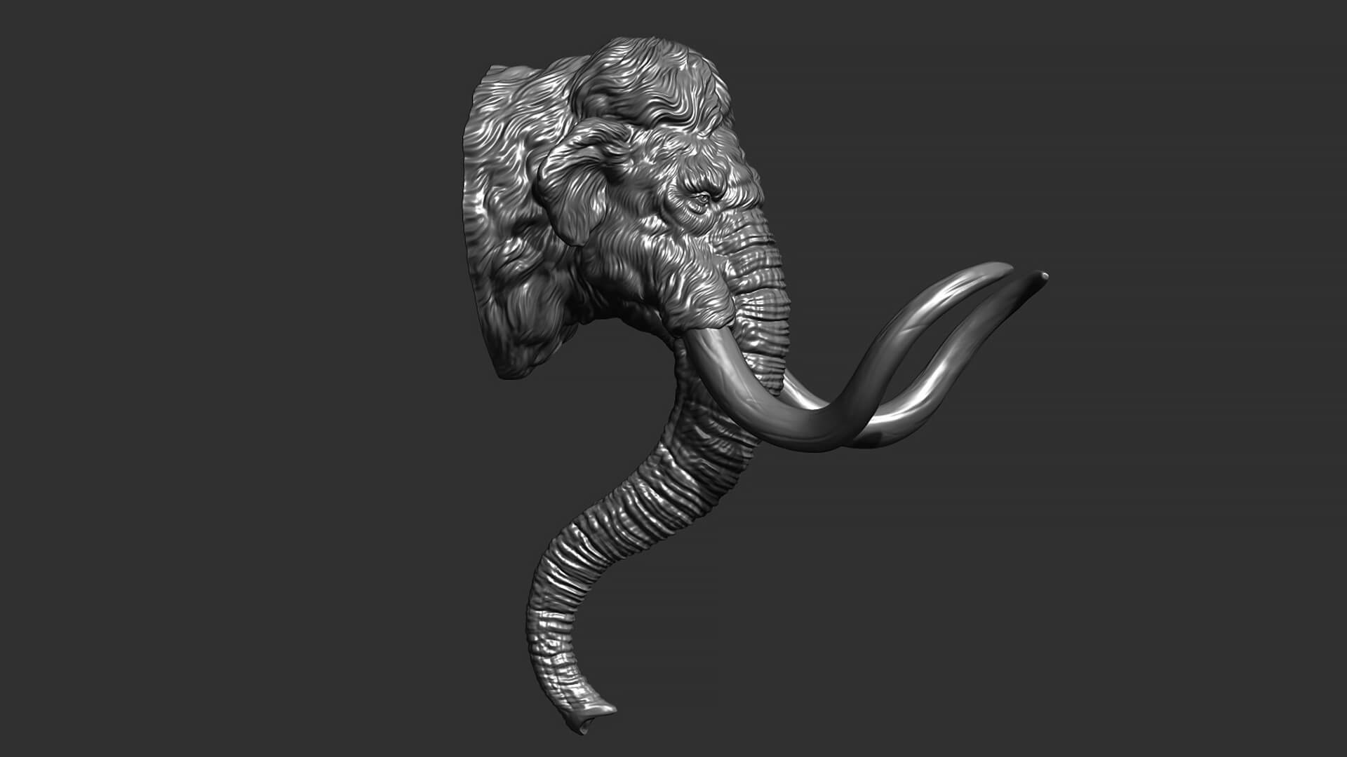 Mammoth Head - 3D Print Model by guninnik81