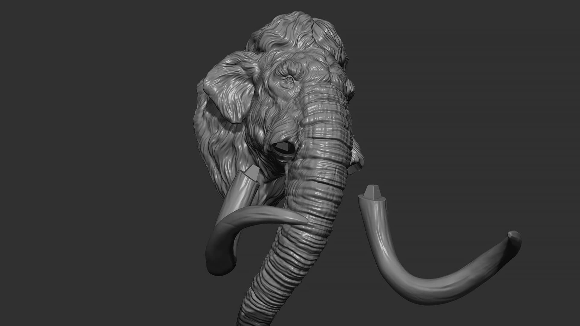 Mammoth Head - 3D Print Model by guninnik81