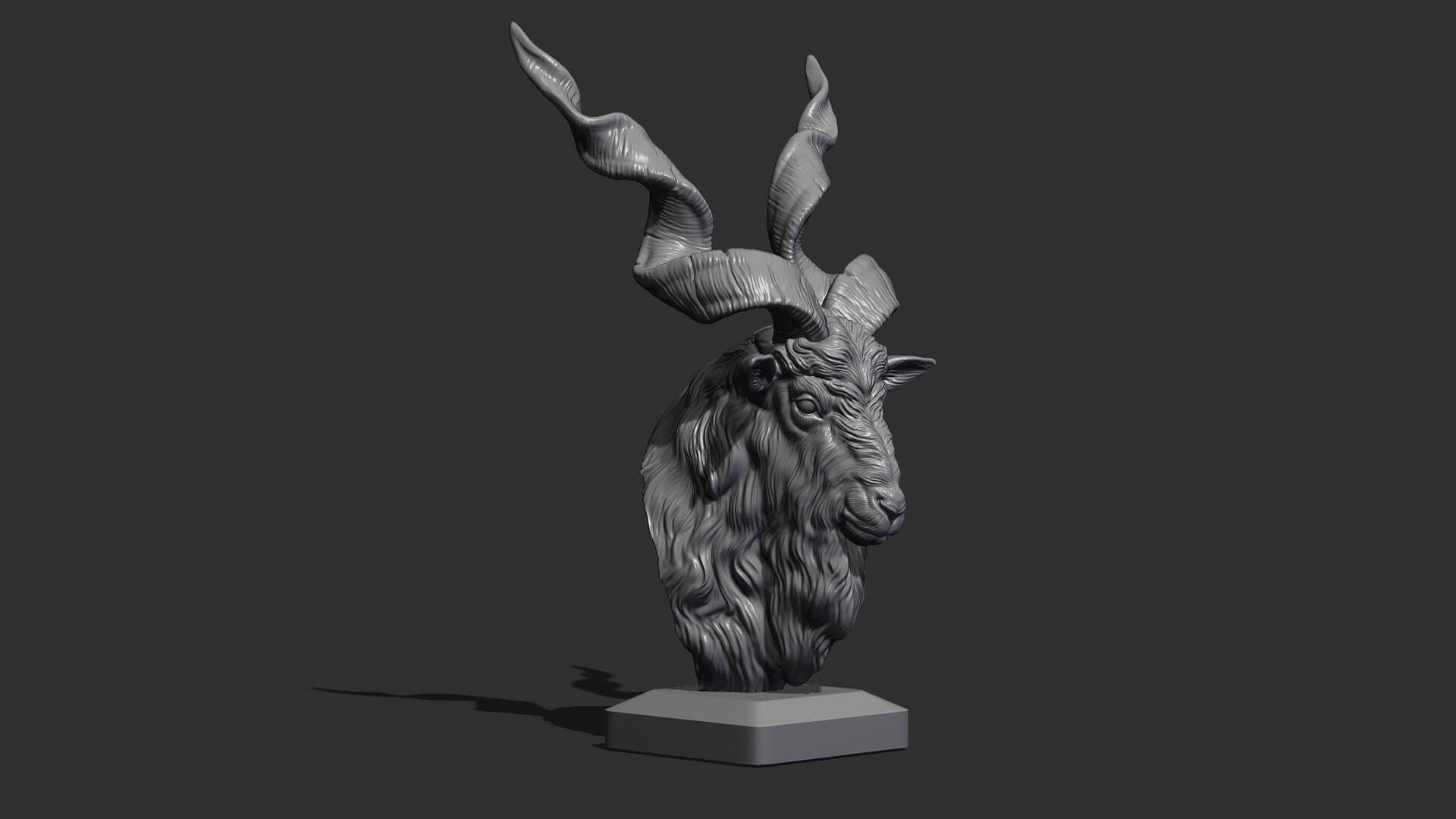 Markhor Goat Head - 3D Model by guninnik81