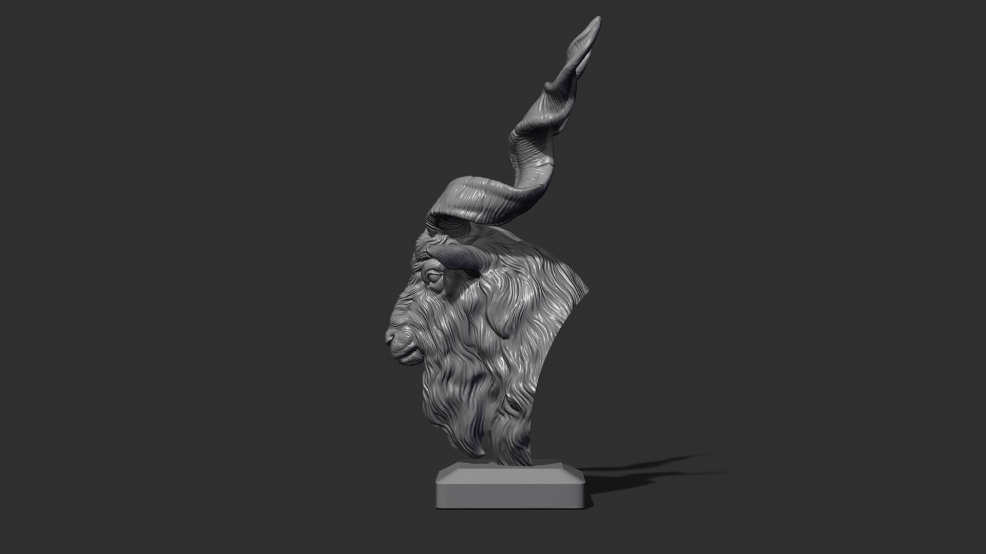 Markhor Goat Head - 3D Model by guninnik81
