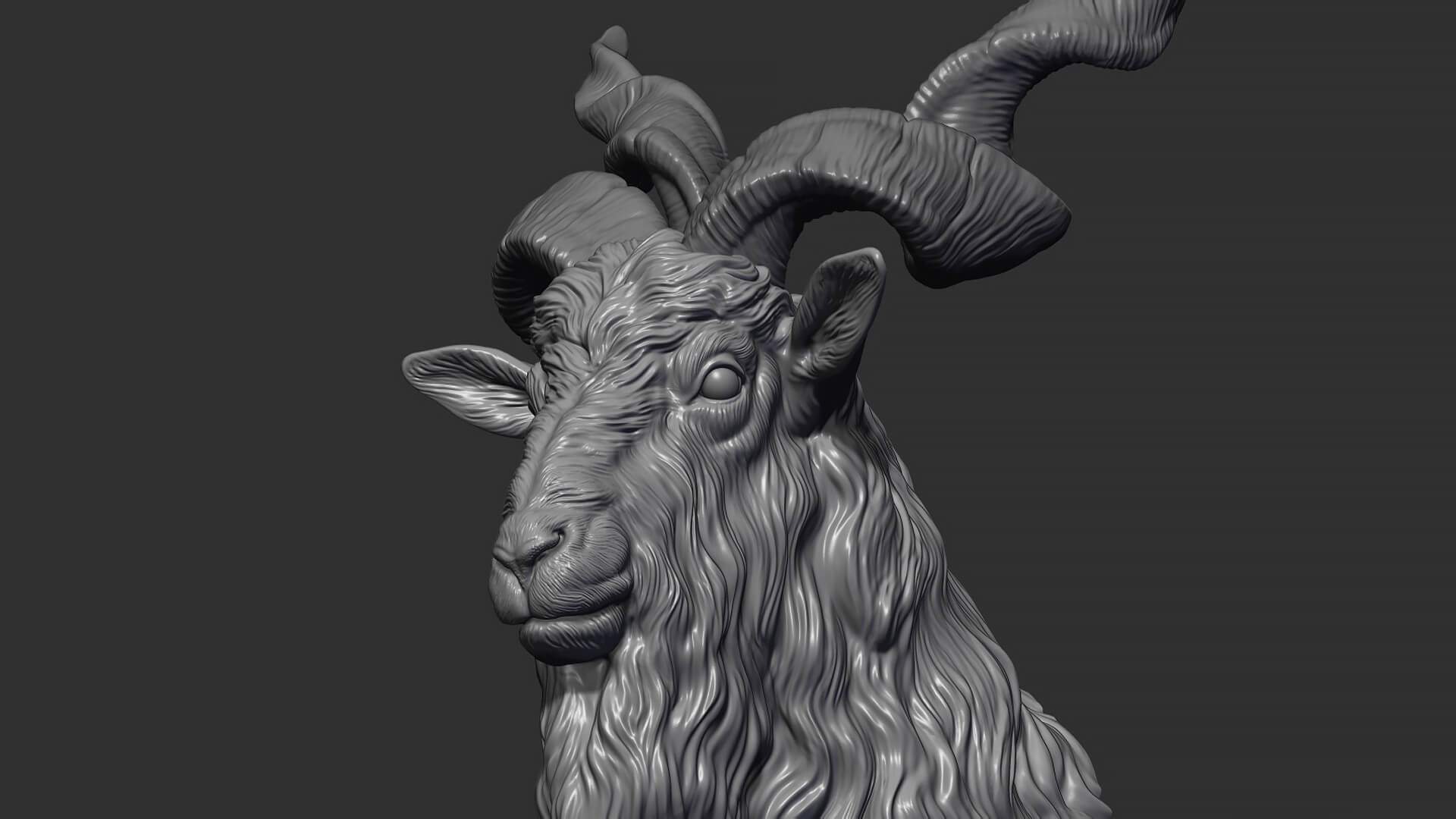 Markhor Goat Head - 3D Model by guninnik81