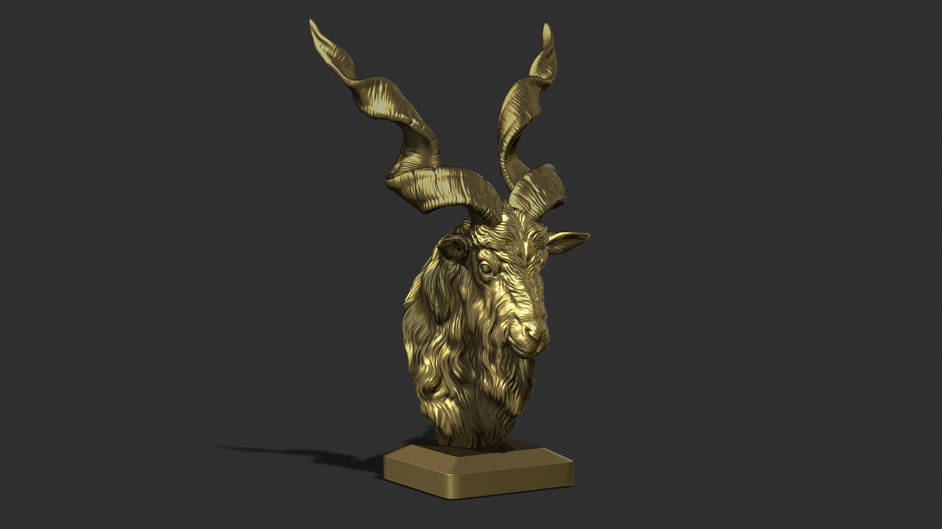 Markhor Goat Head - 3D Model by guninnik81