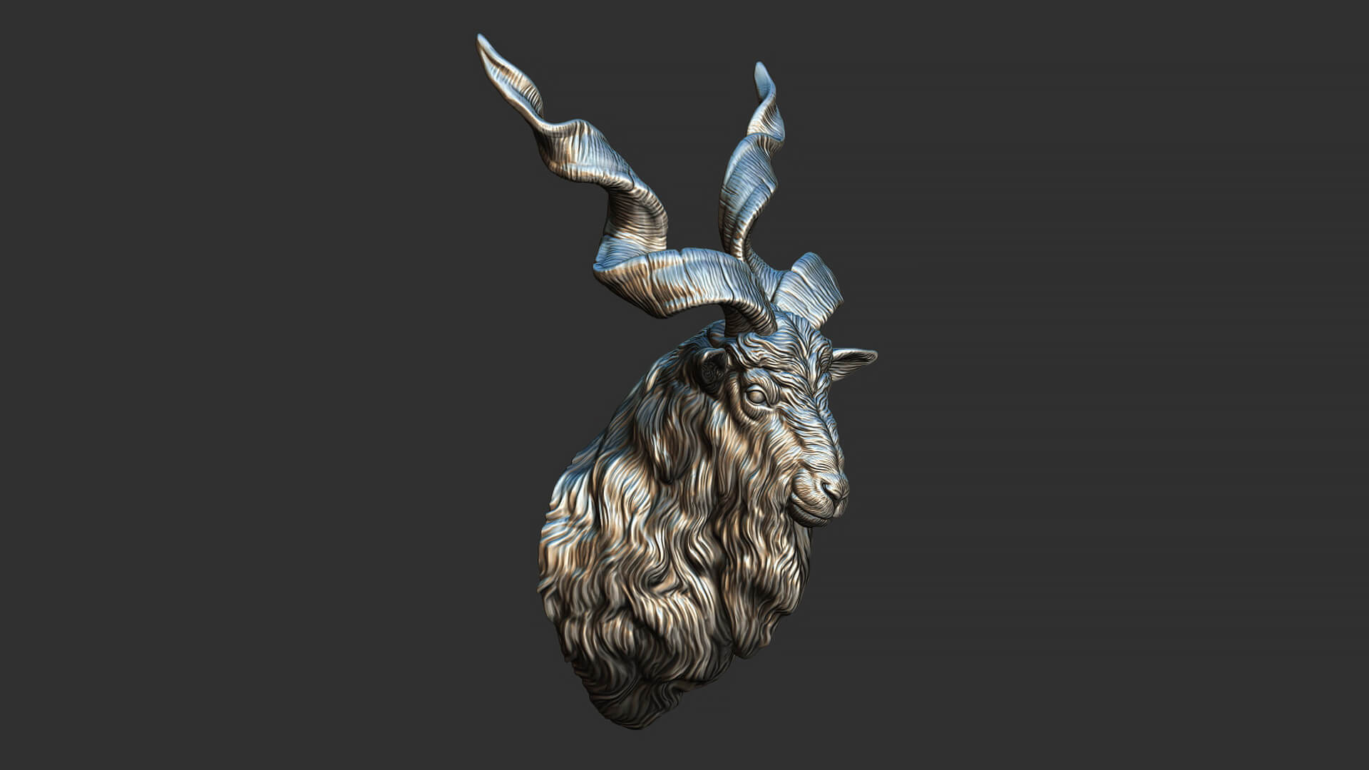 Markhor Goat Head - 3D Model by guninnik81