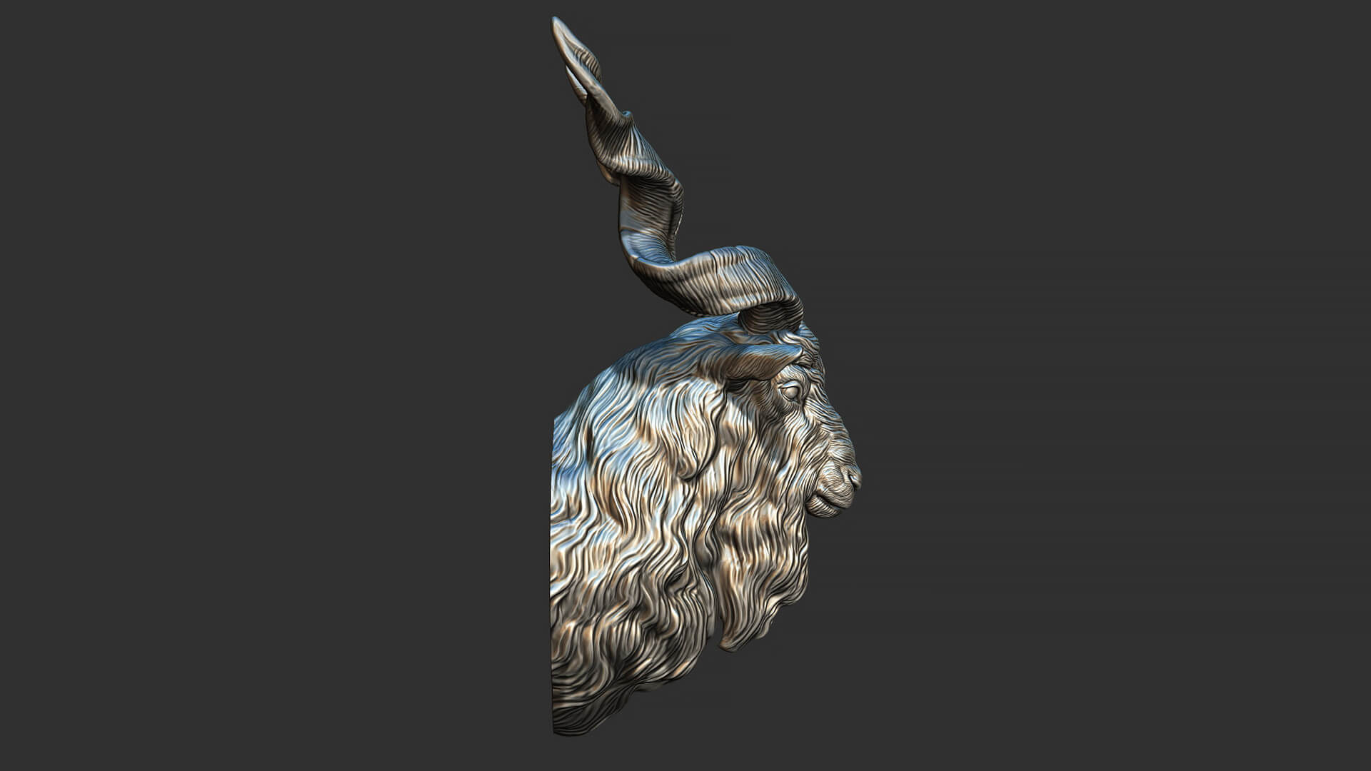 Markhor Goat Head - 3D Model by guninnik81