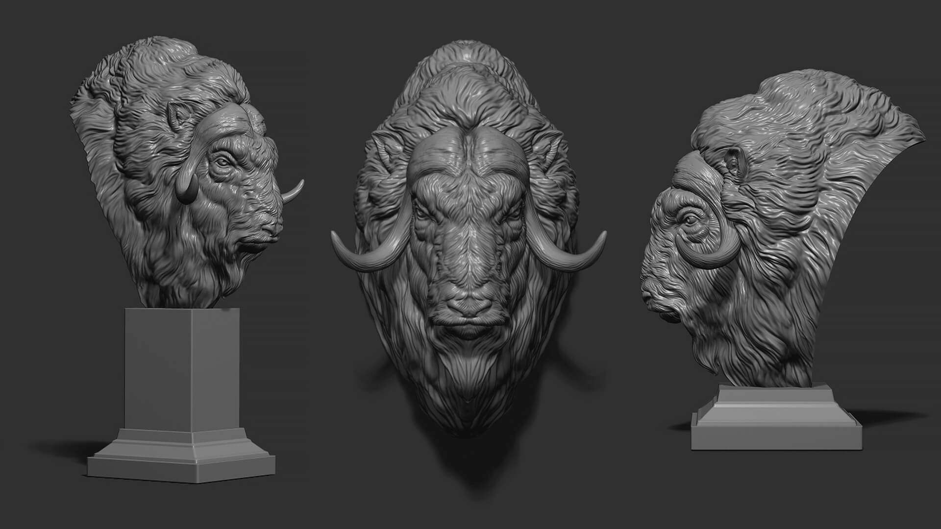Musk Ox Head Bust - 3D Print Model by guninnik81