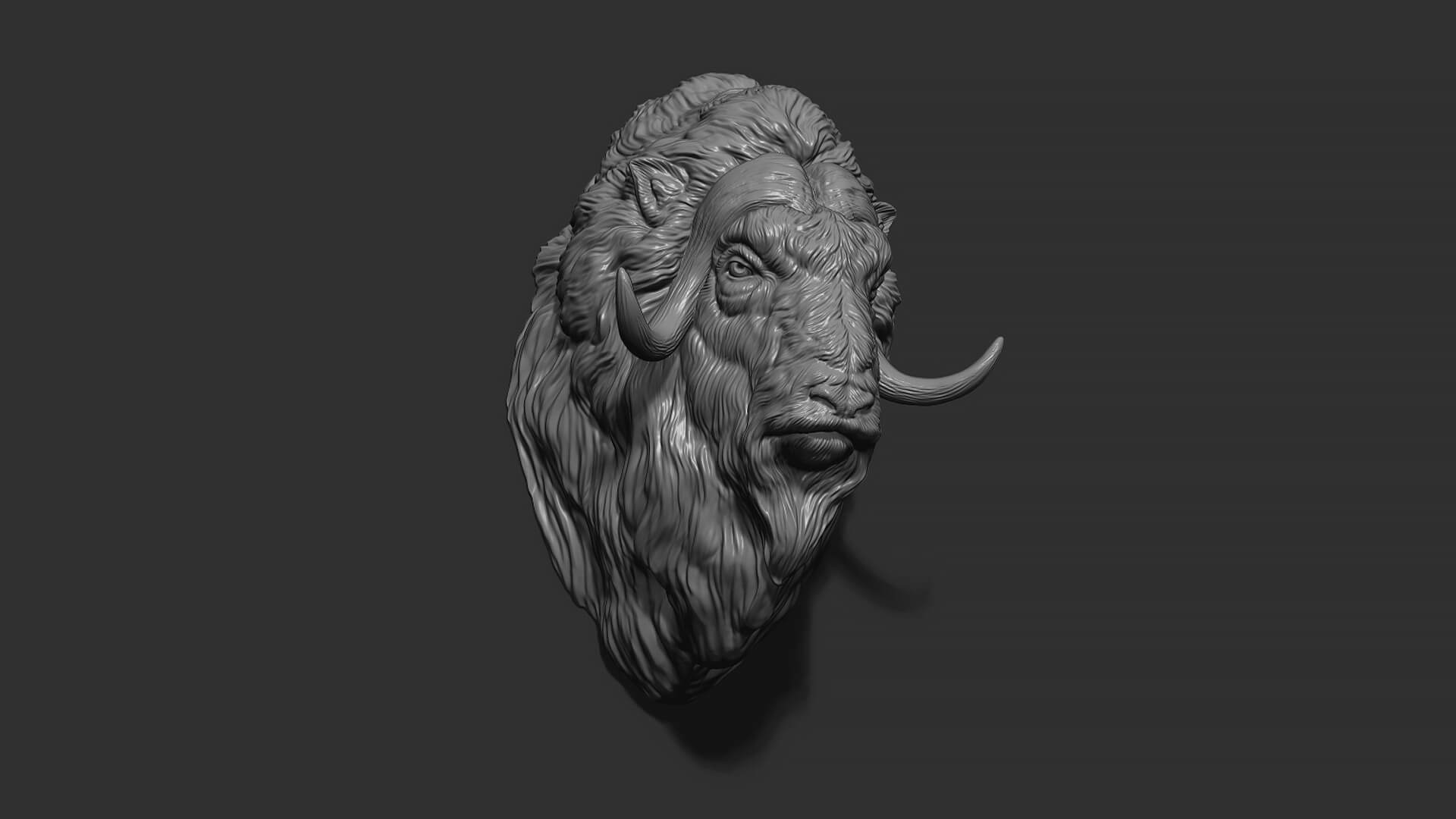 Musk Ox Head Bust - 3D Model by guninnik81