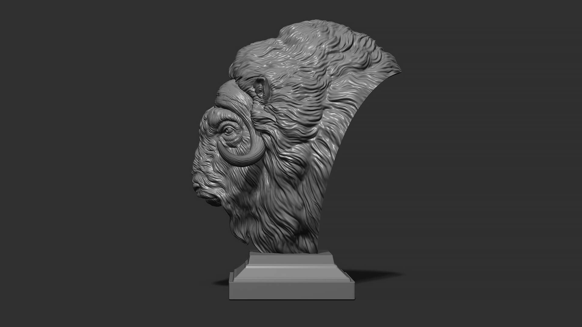 Musk Ox Head Bust - 3D Model by guninnik81