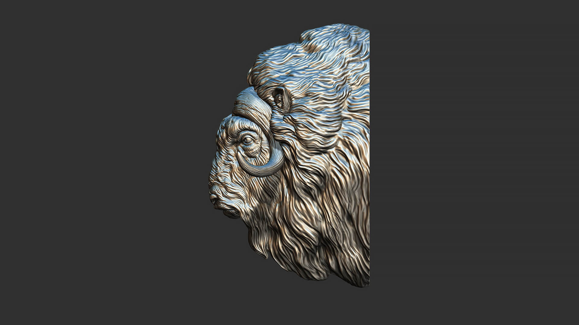 Musk Ox Head Bust - 3D Model by guninnik81