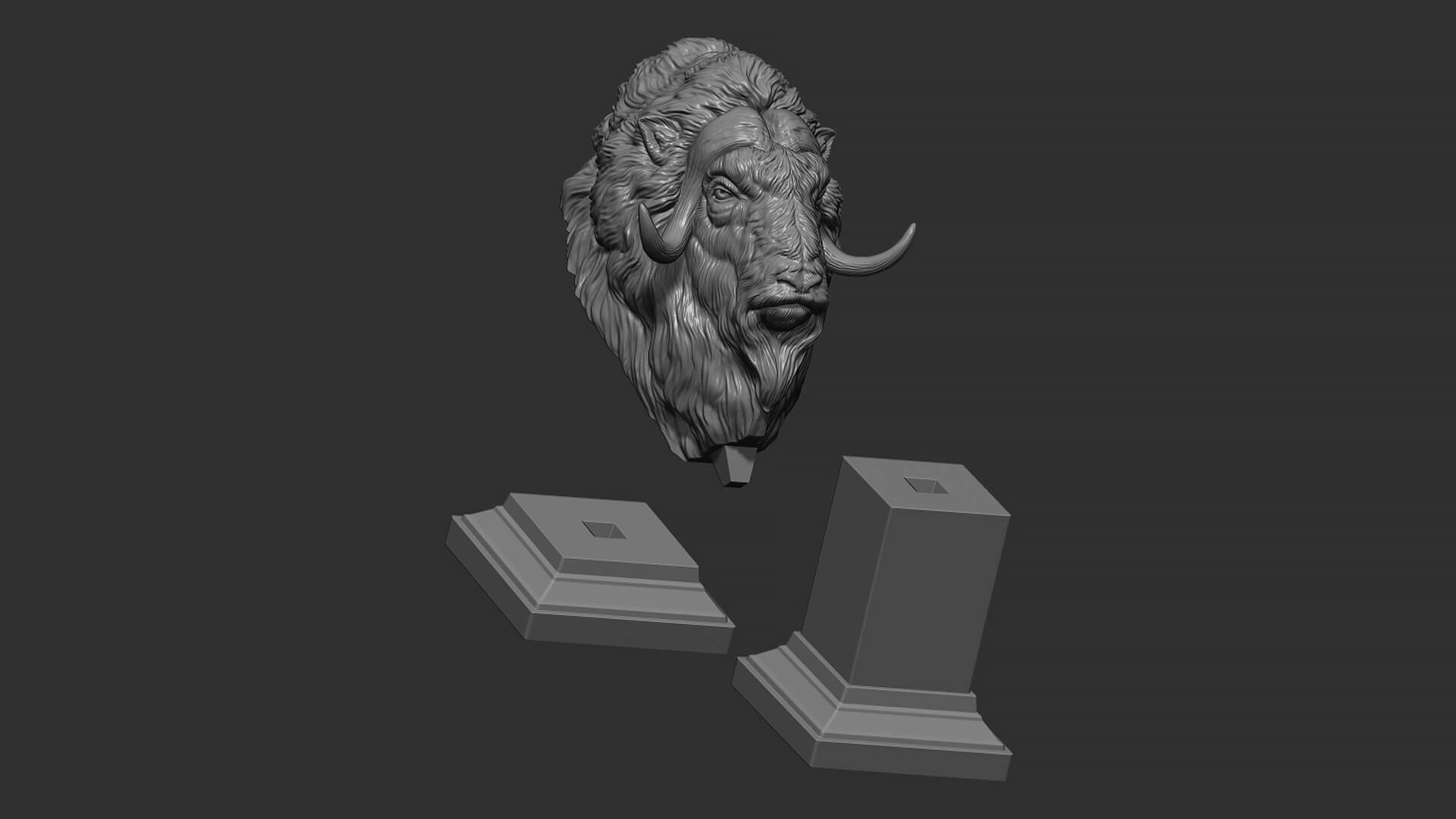 Musk Ox Head Bust - 3D Model by guninnik81